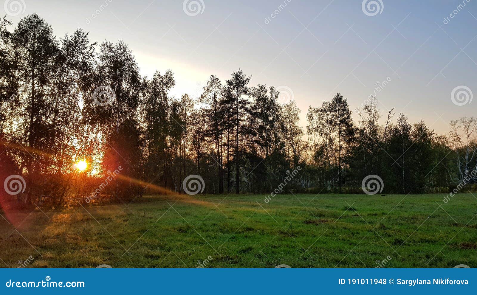 Sun in august stock photo. Image of evening, grass, dawn - 191011948