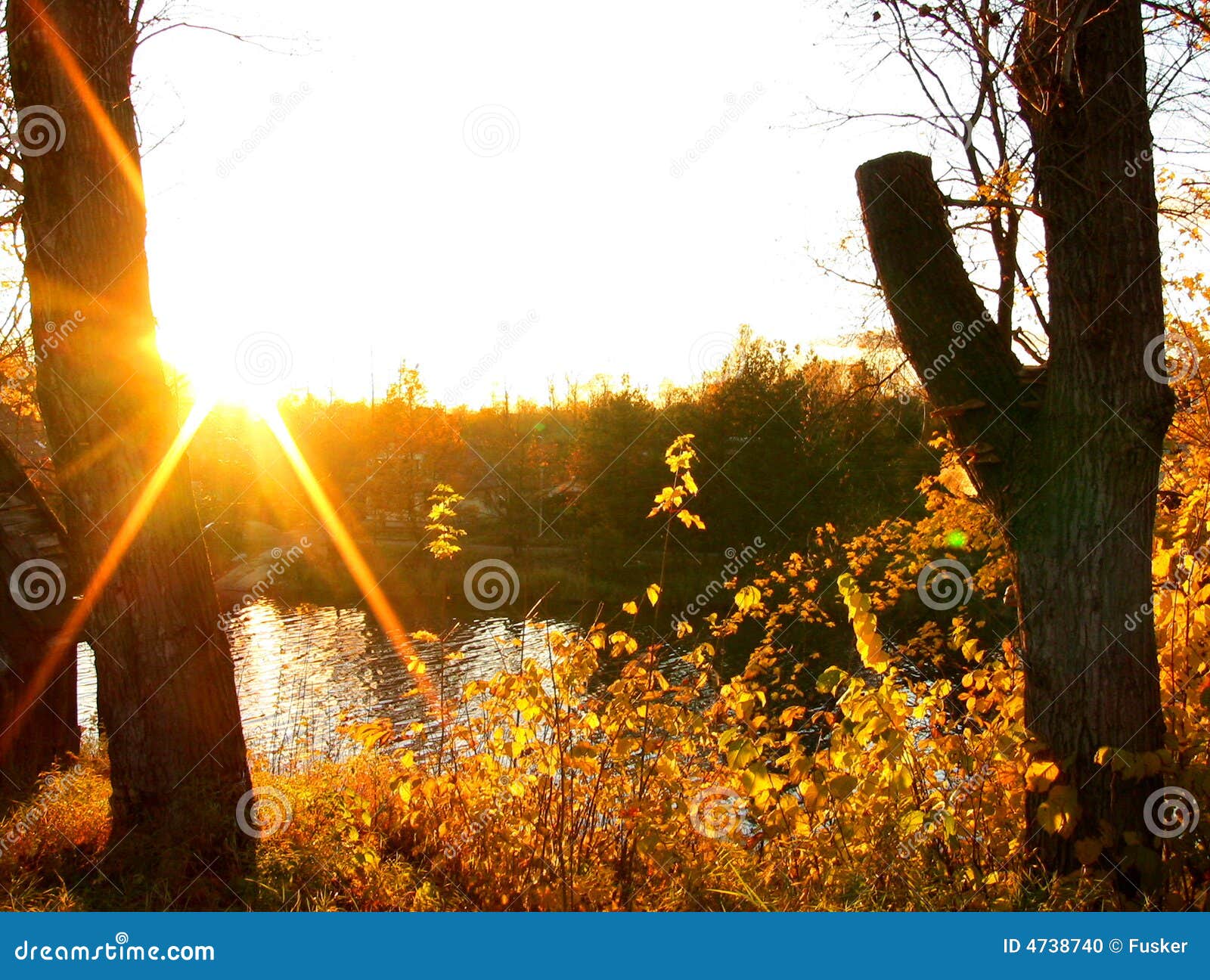 The Sun in autumn trees stock photo. Image of river, neva - 4738740