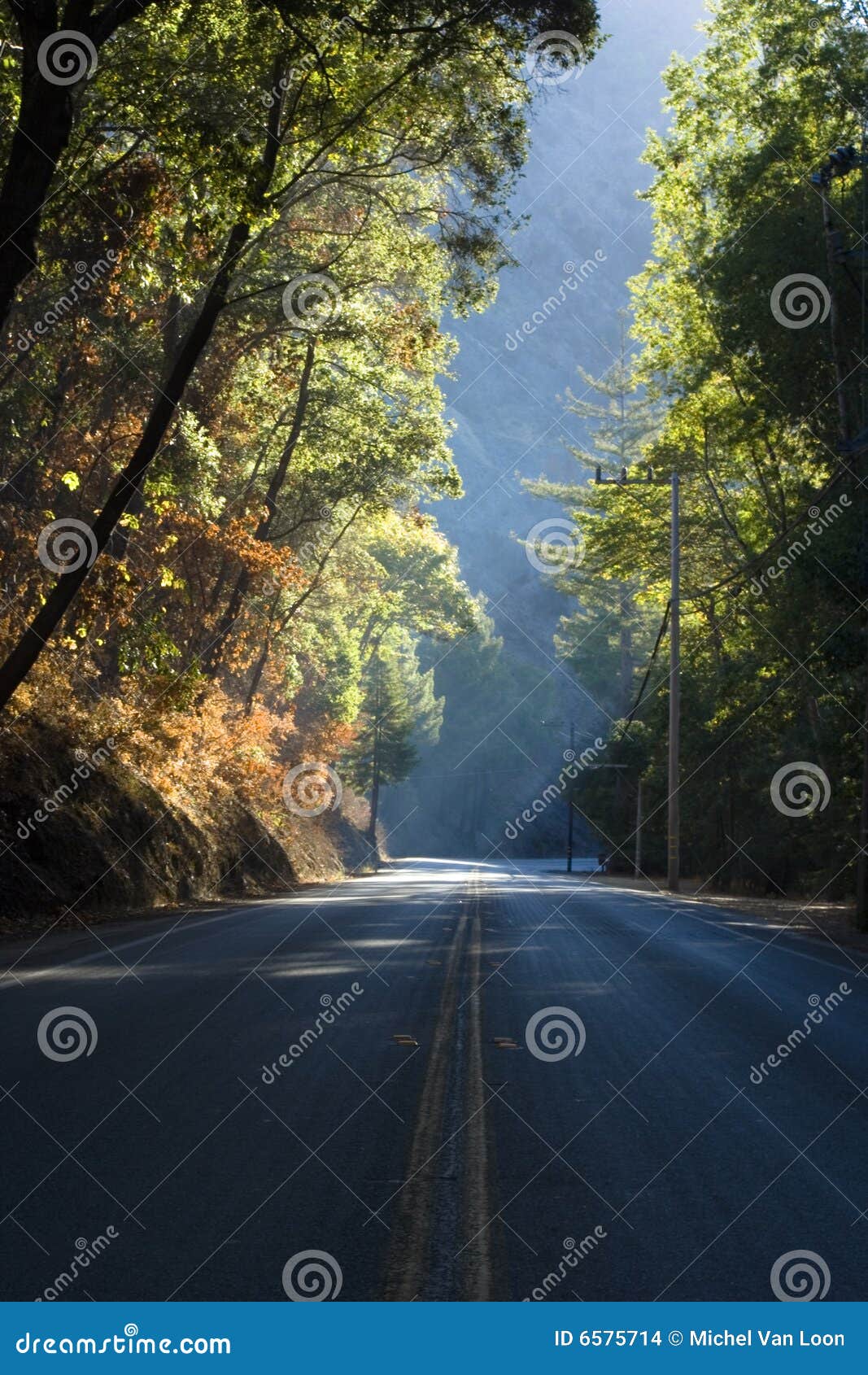 Sun beam road stock photo. Image of heaven, forest, beam - 6575714