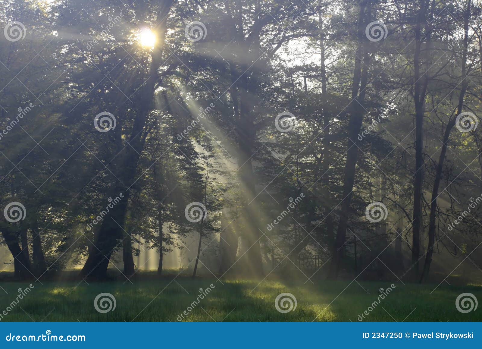 Sun Beams Stock Photography | CartoonDealer.com #2347250