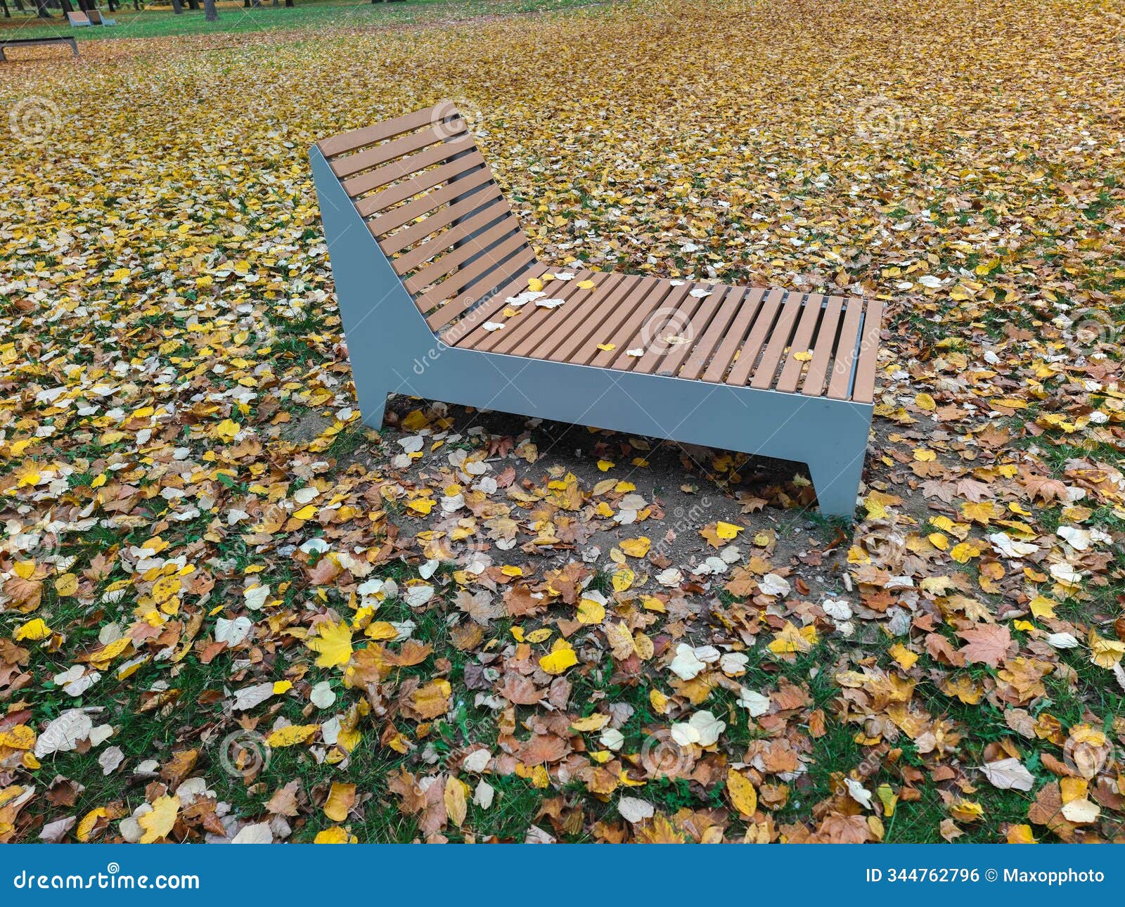 Sun Bed in the Park. Relax Zone and Improvement of Public Services ...