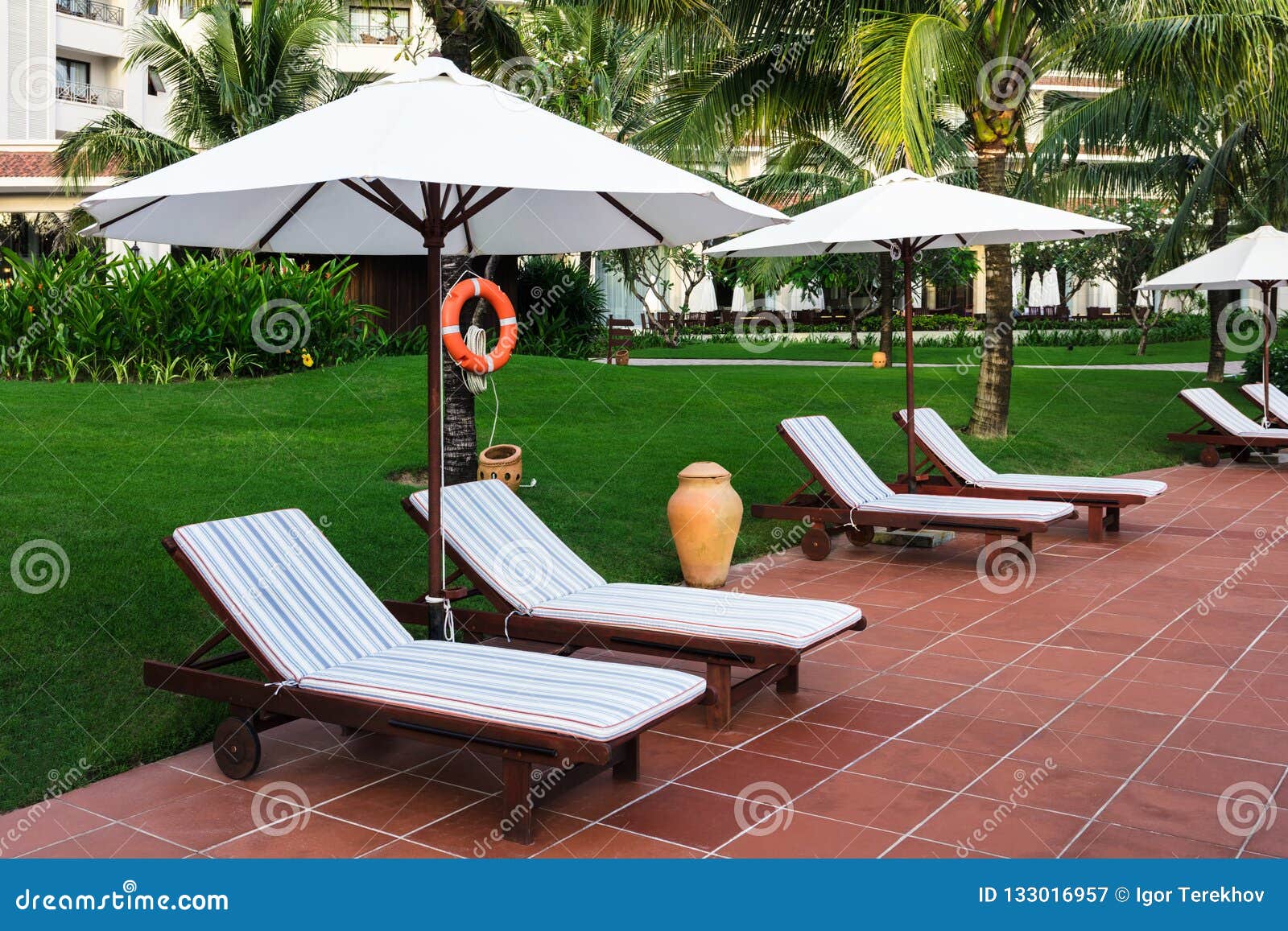 Sun beds on the hotel stock image. Image of hotel, resort - 133016957