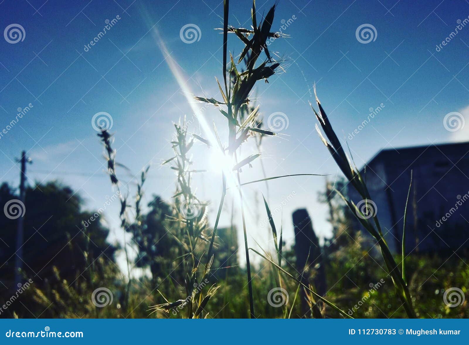 Sun is behind focus stock image. Image of reflect, object - 112730783