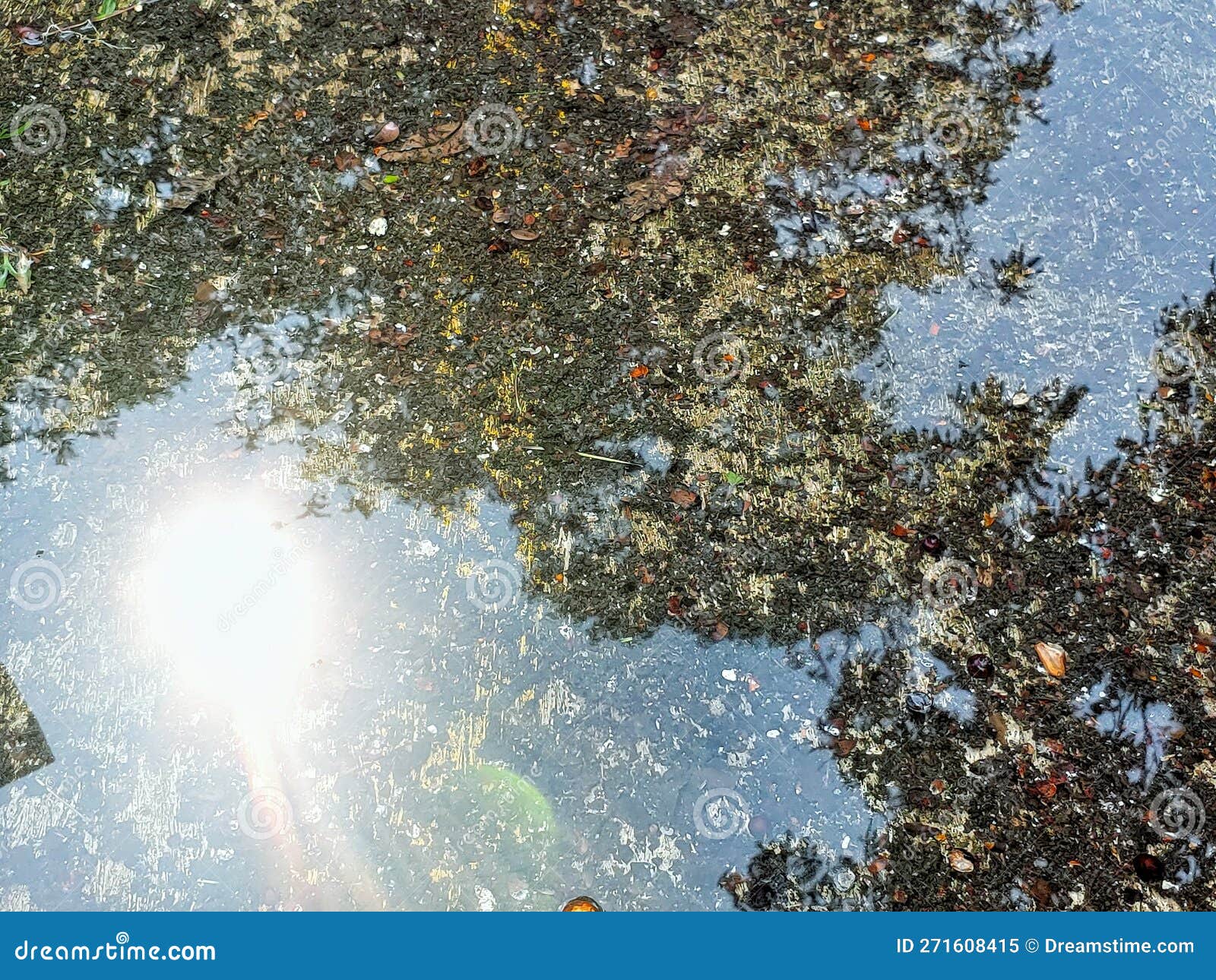 The sun behind the puddles stock image. Image of sunlight - 271608415