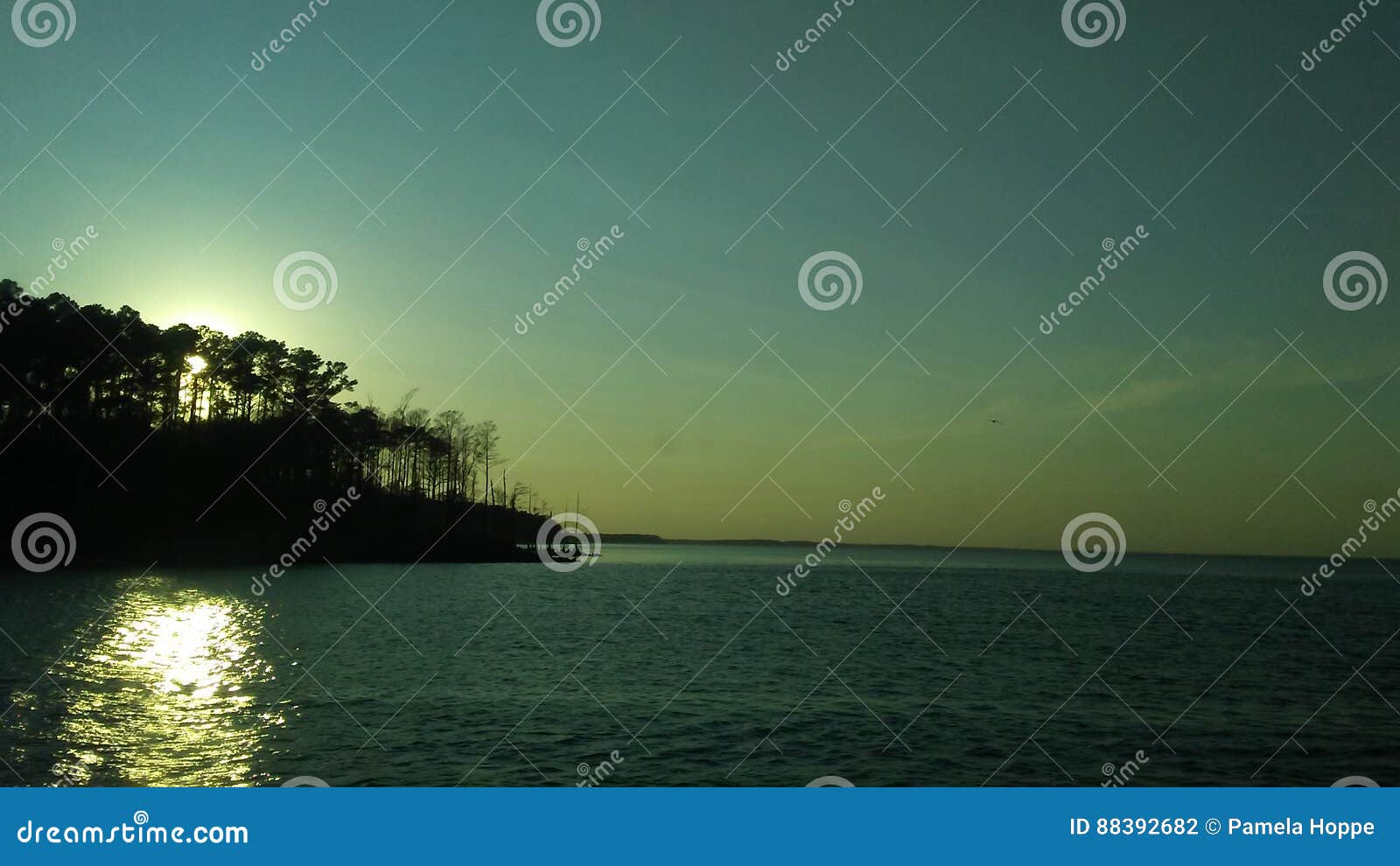 View from Boat Overlooking Treeline with Sun Behind it Reflecting ...