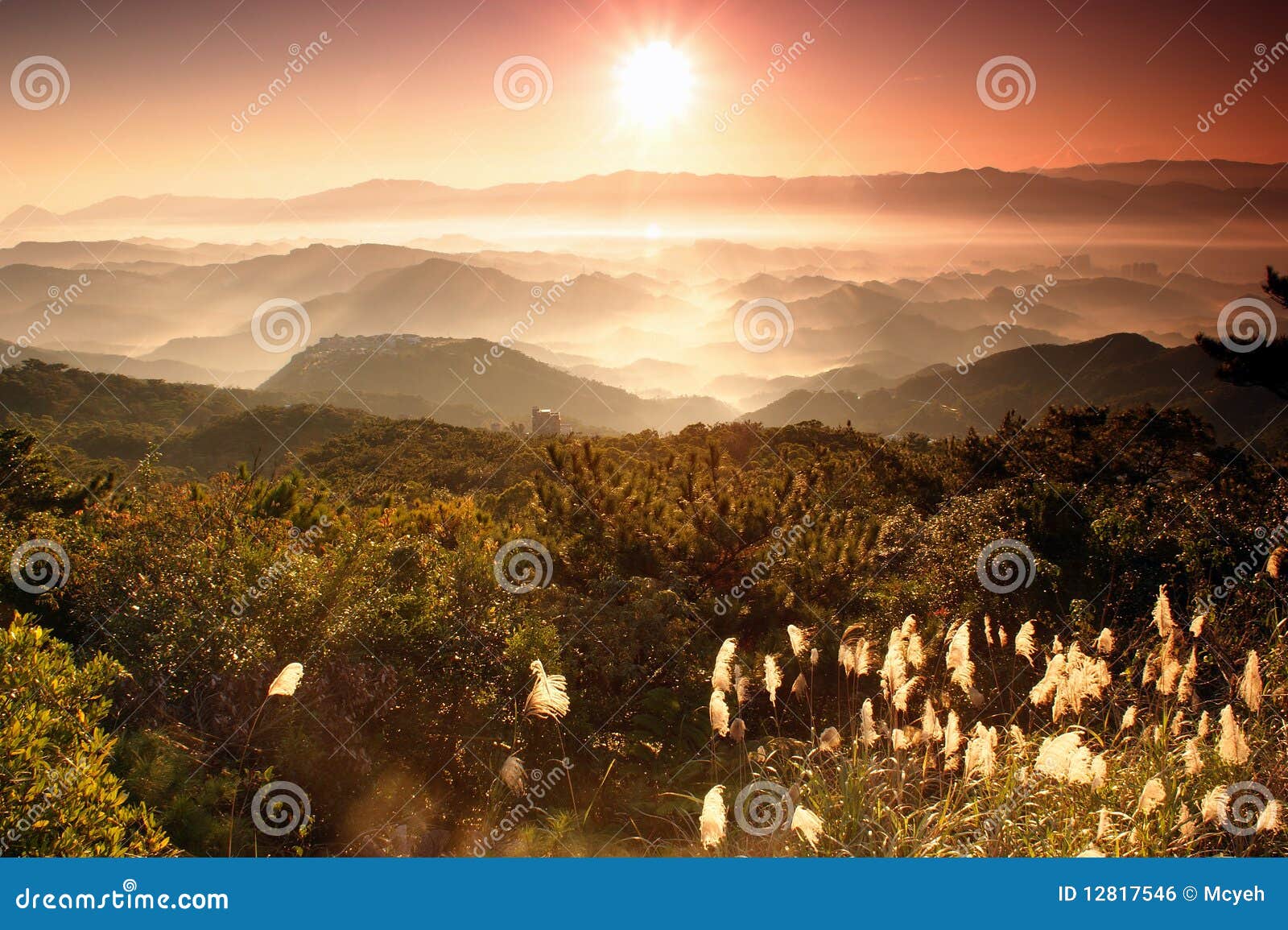 Sun Blast is Passing through Valley Stock Photo - Image of landscape ...