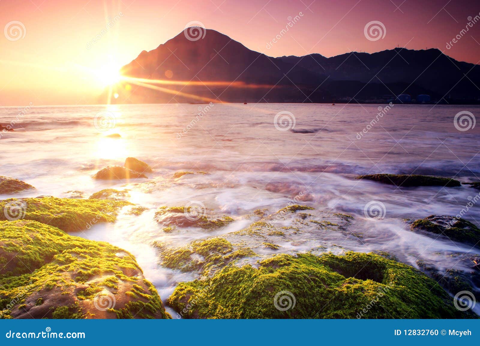 Sun Blast with spring moss stock photo. Image of blast - 12832760