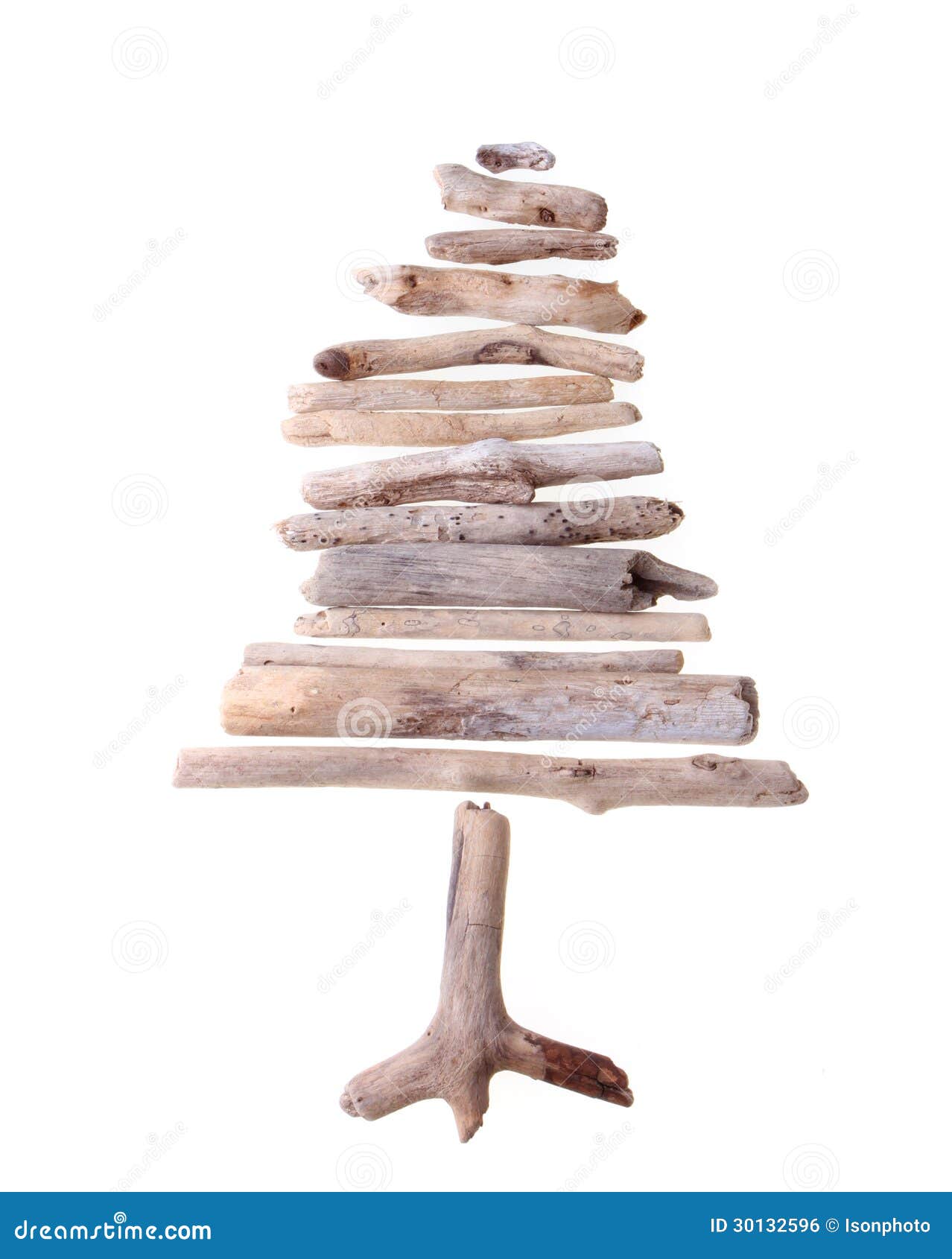 Drift wood tree stock photo. Image of timber, environment - 30132596