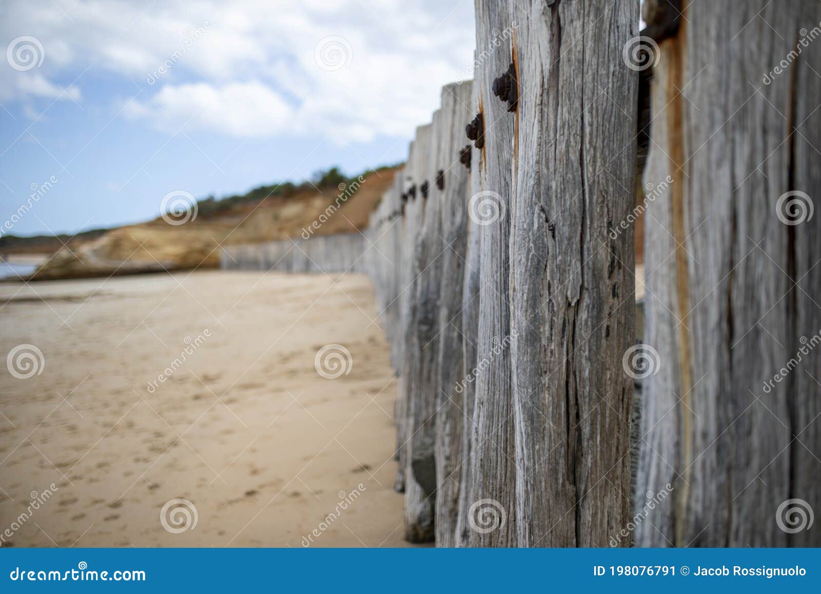 Sun Bleached Logs Australia Stock Image - Image of blue, nature: 198076791