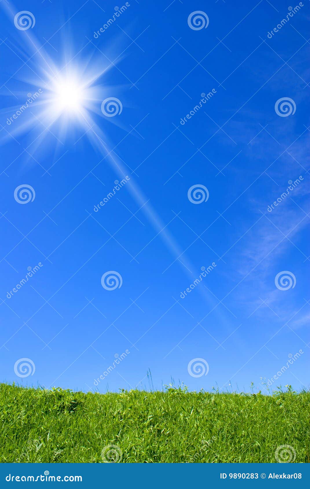 Sun in blue sky stock image. Image of park, nature, field - 9890283