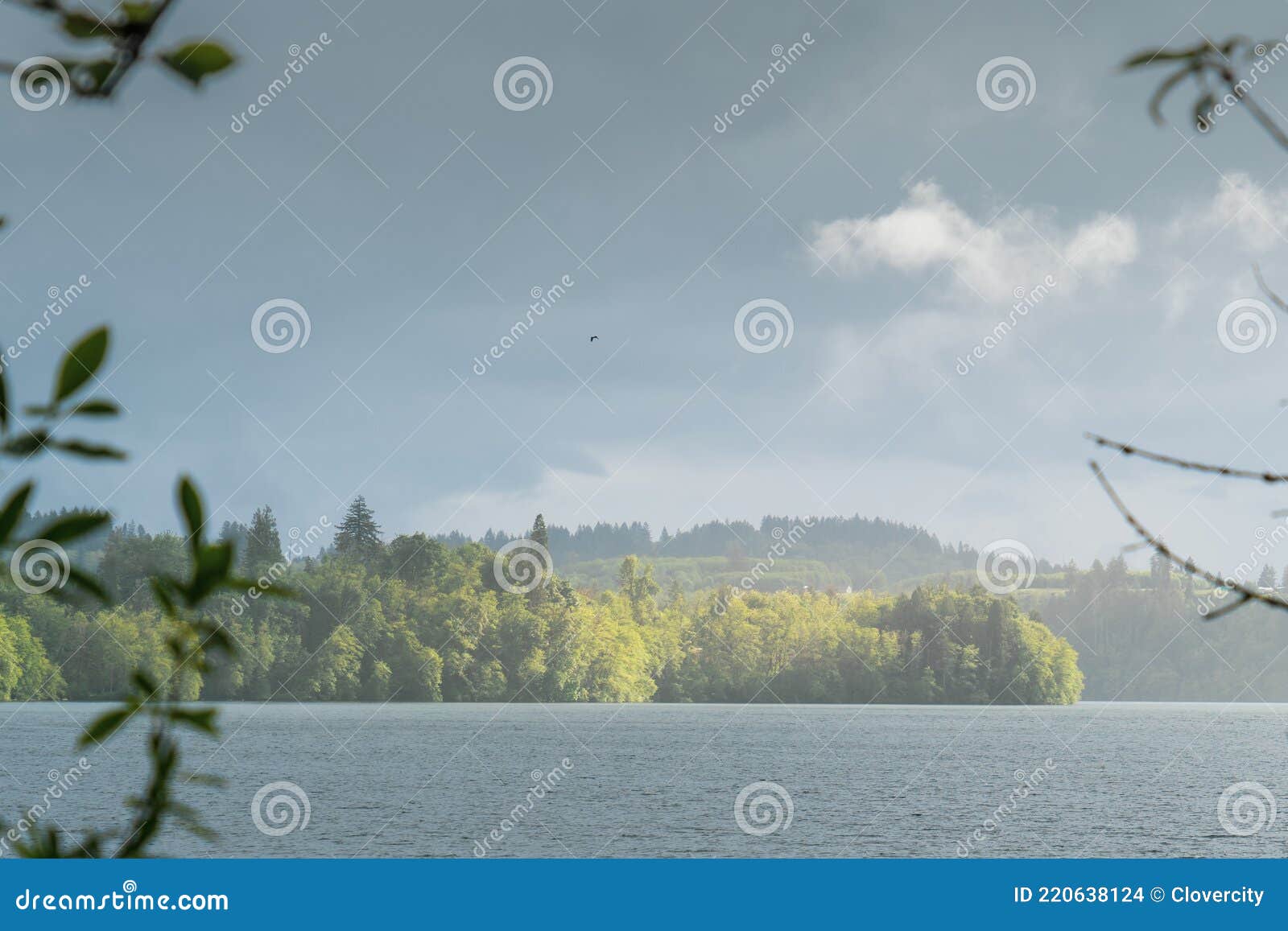 Mayfield Lake Washington Stock Photos - Free & Royalty-Free Stock ...