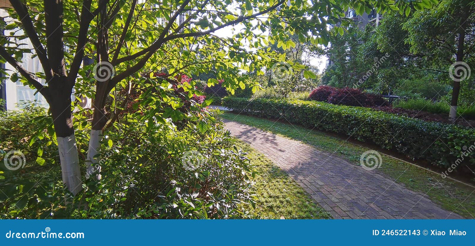 A path in the park stock image. Image of pathlet, parkn - 246522143