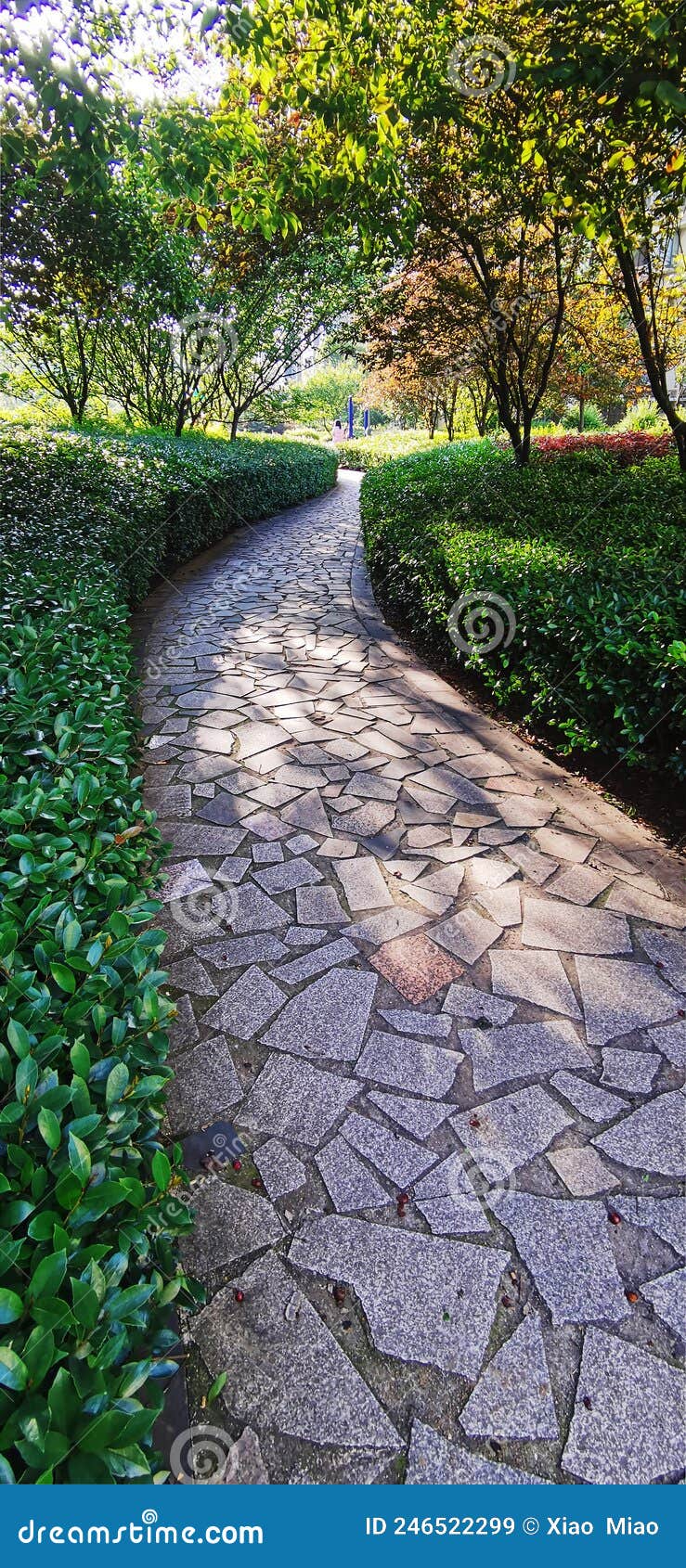 A path in the park stock image. Image of extends, pathlet - 246522299