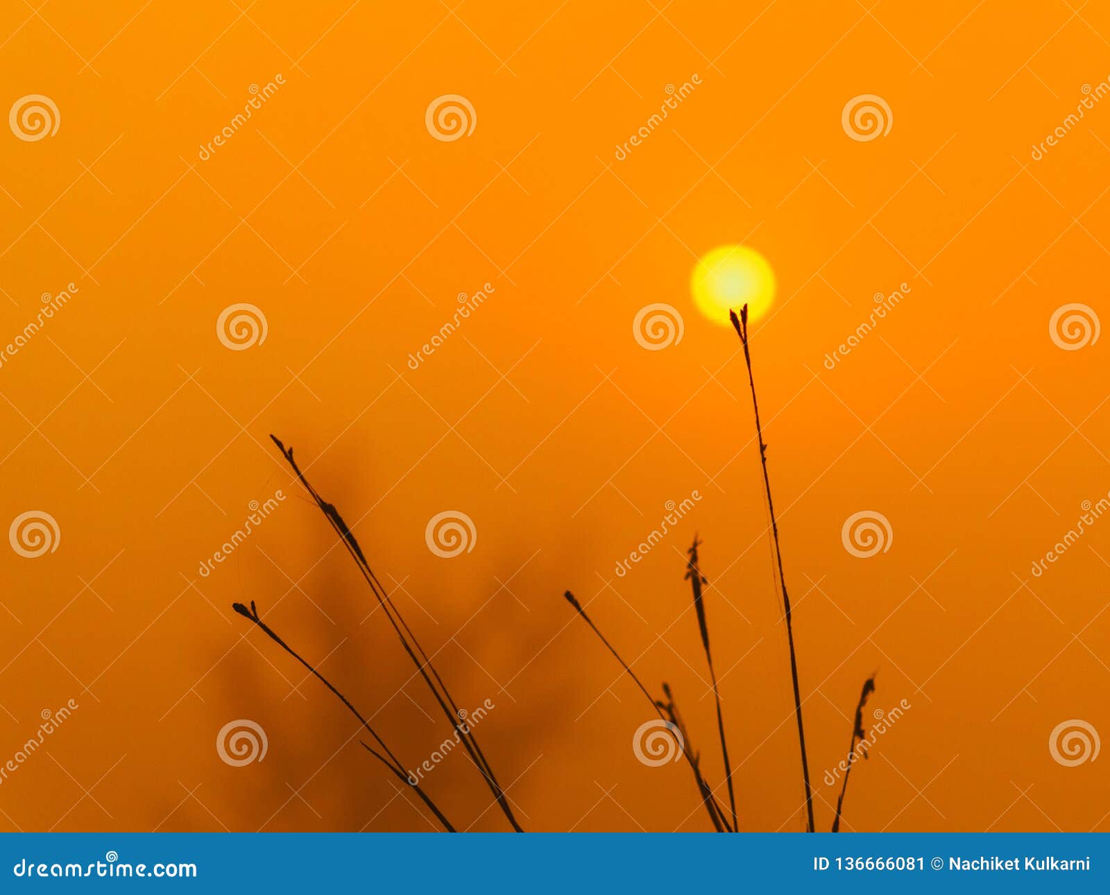 Sun or a Bulb stock image. Image of sunrise, sunset - 136666081