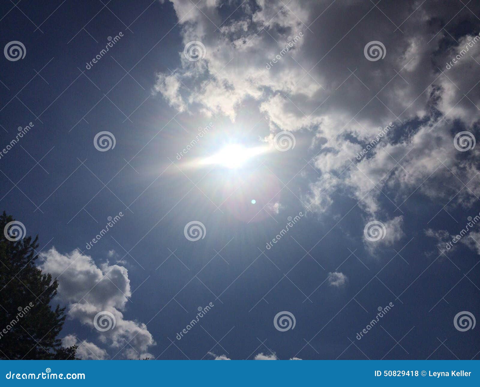 Sun Burst editorial stock photo. Image of nature, summer - 50829418