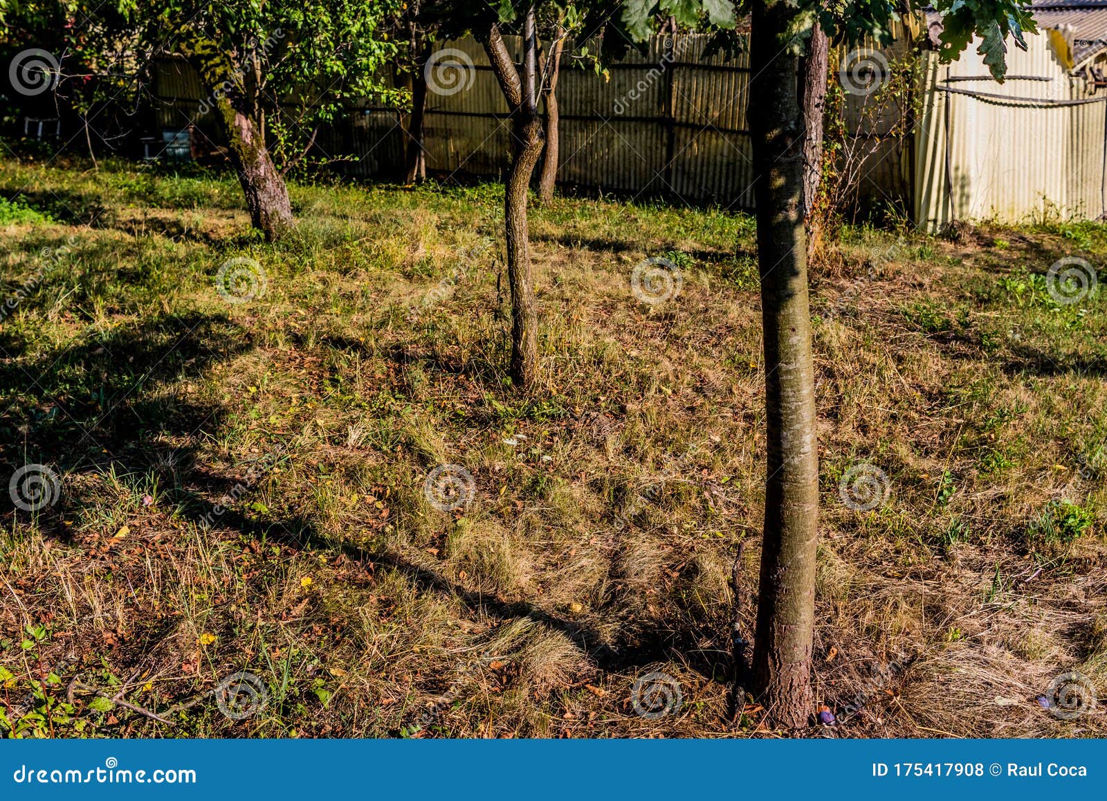 Casting Tree Stack Iron Parts With Gating System Riser Runner And ...