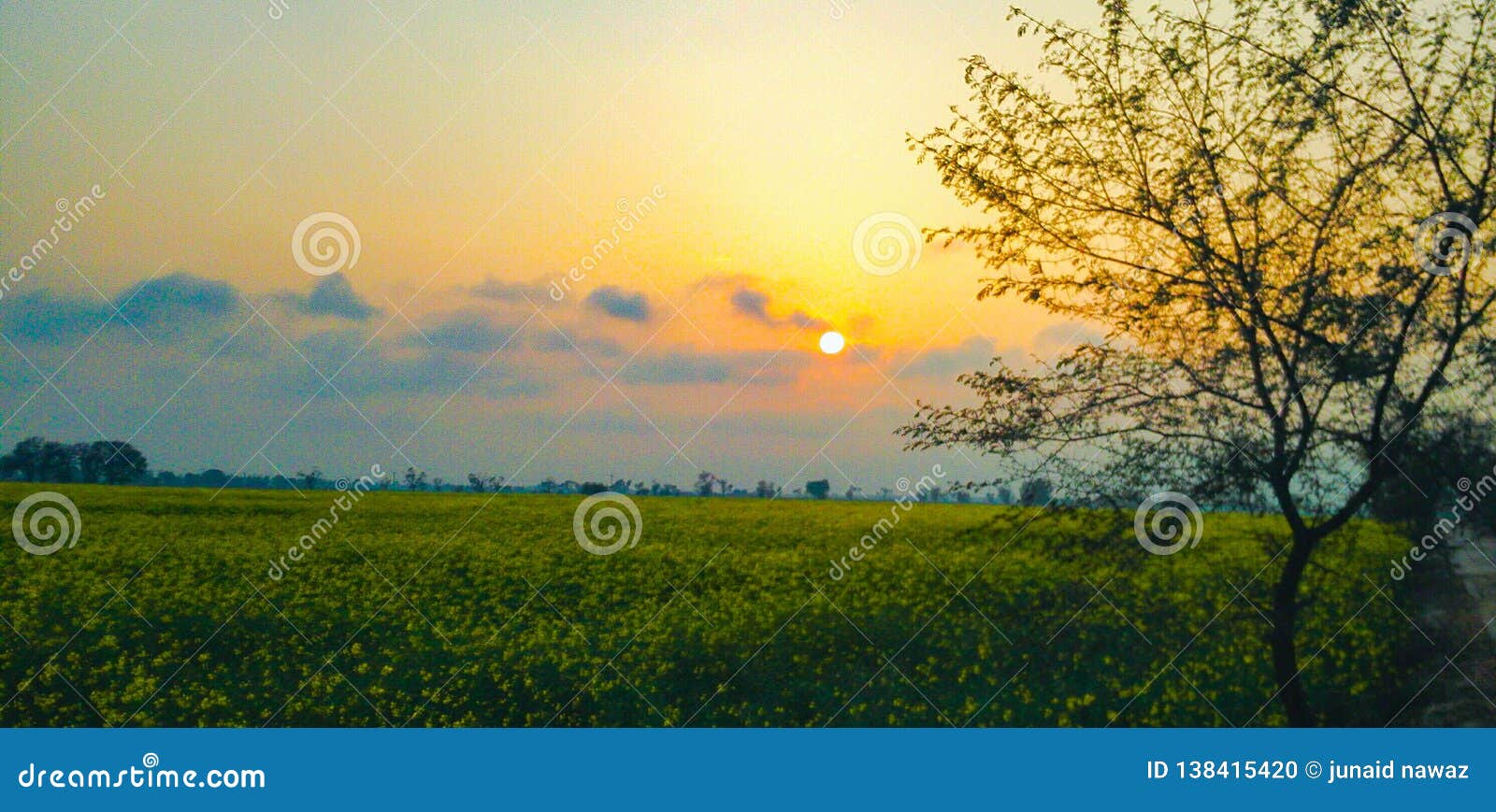 Sun in Cloud in Sunset with Tree Beautiful Stock Photo - Image of tree ...