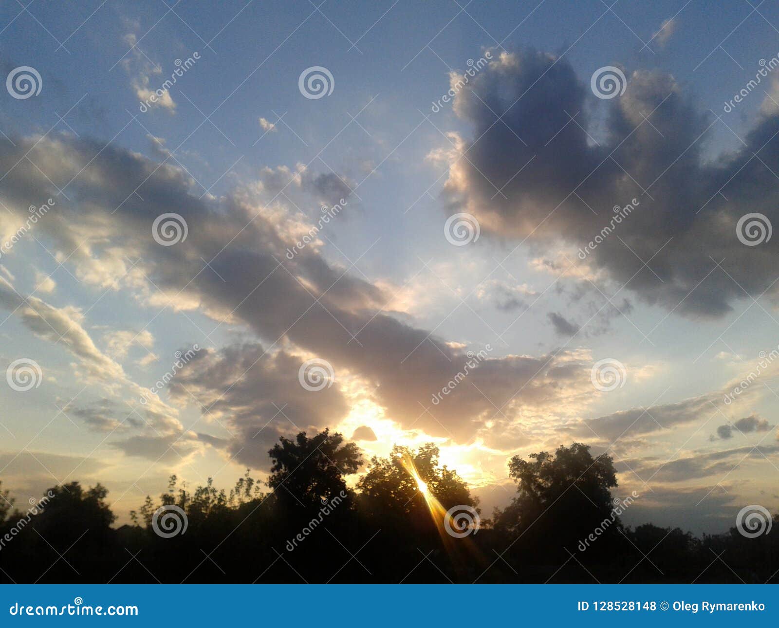 Sun clouds and trees stock photo. Image of thicket, brushwood - 128528148