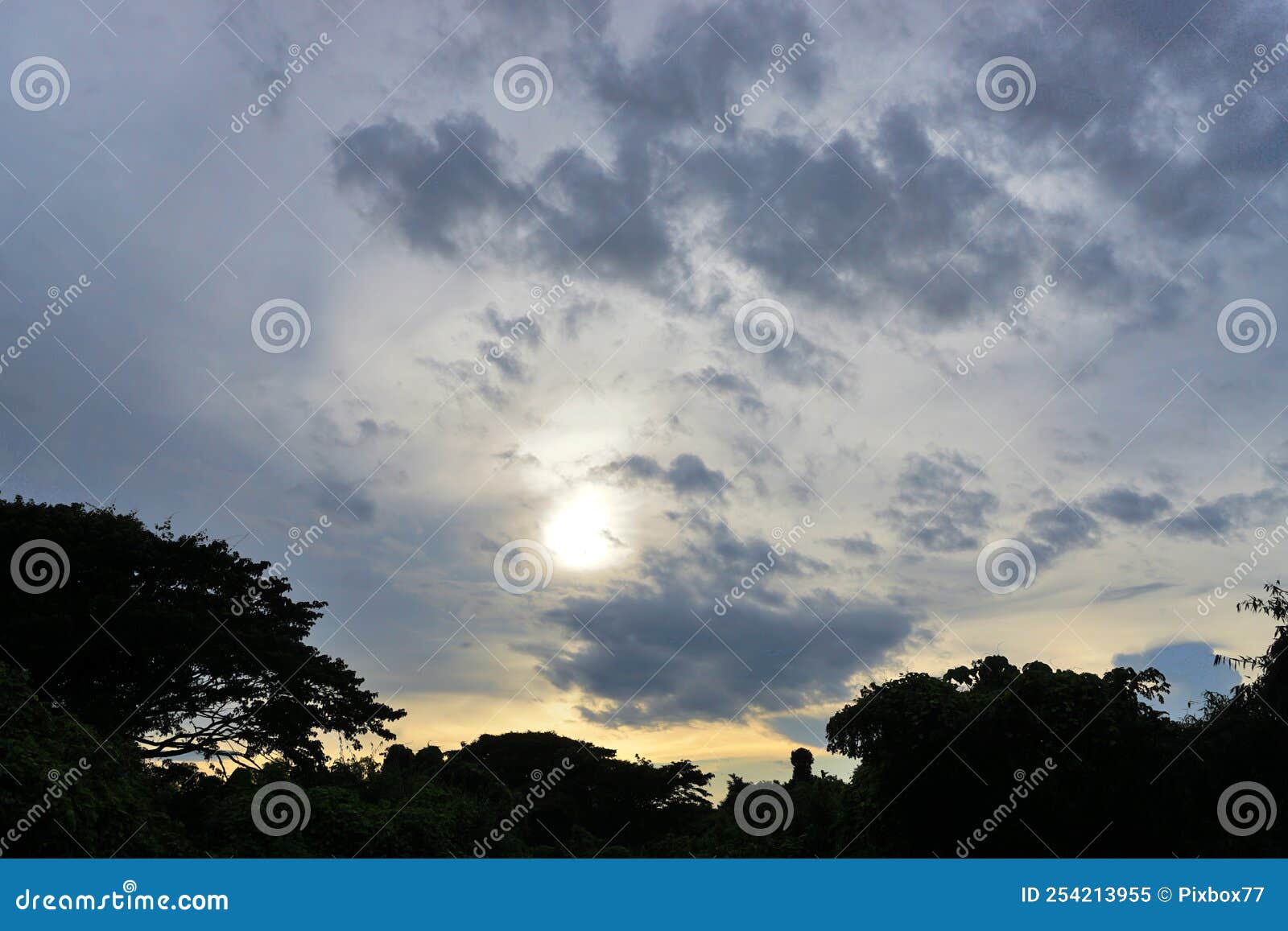 Sun with Cloudy Sky and Forest Silhouette Stock Image - Image of ...
