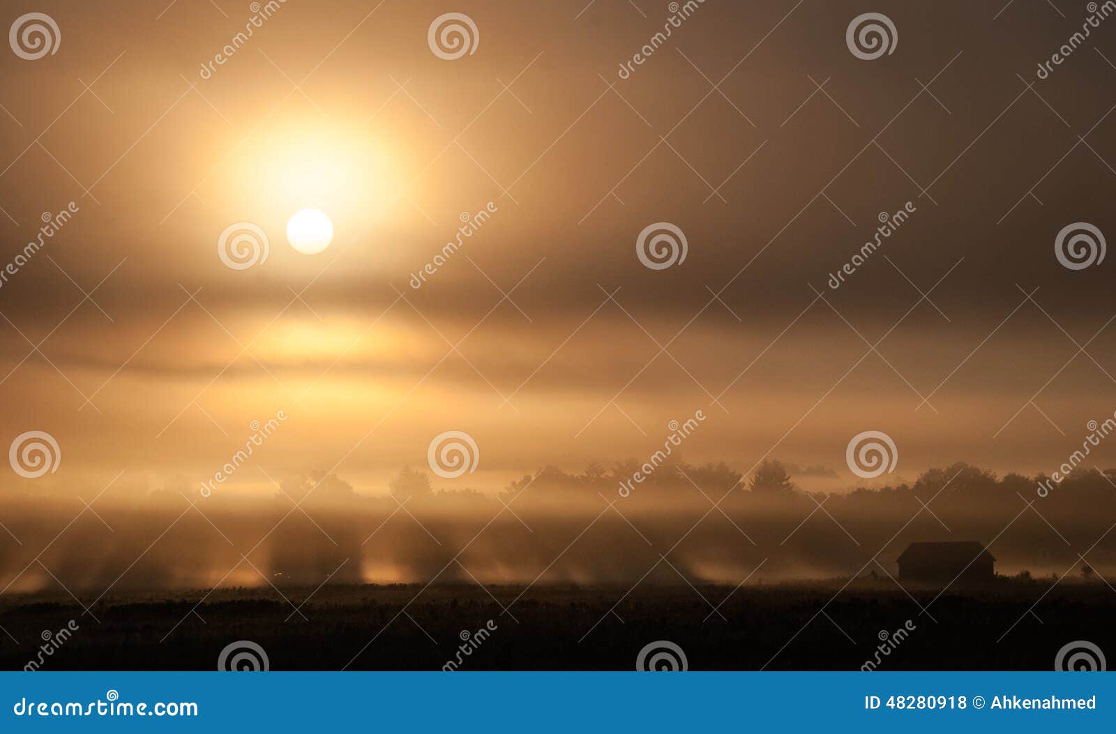 Sun comes up through fog. stock photo. Image of rising - 48280918
