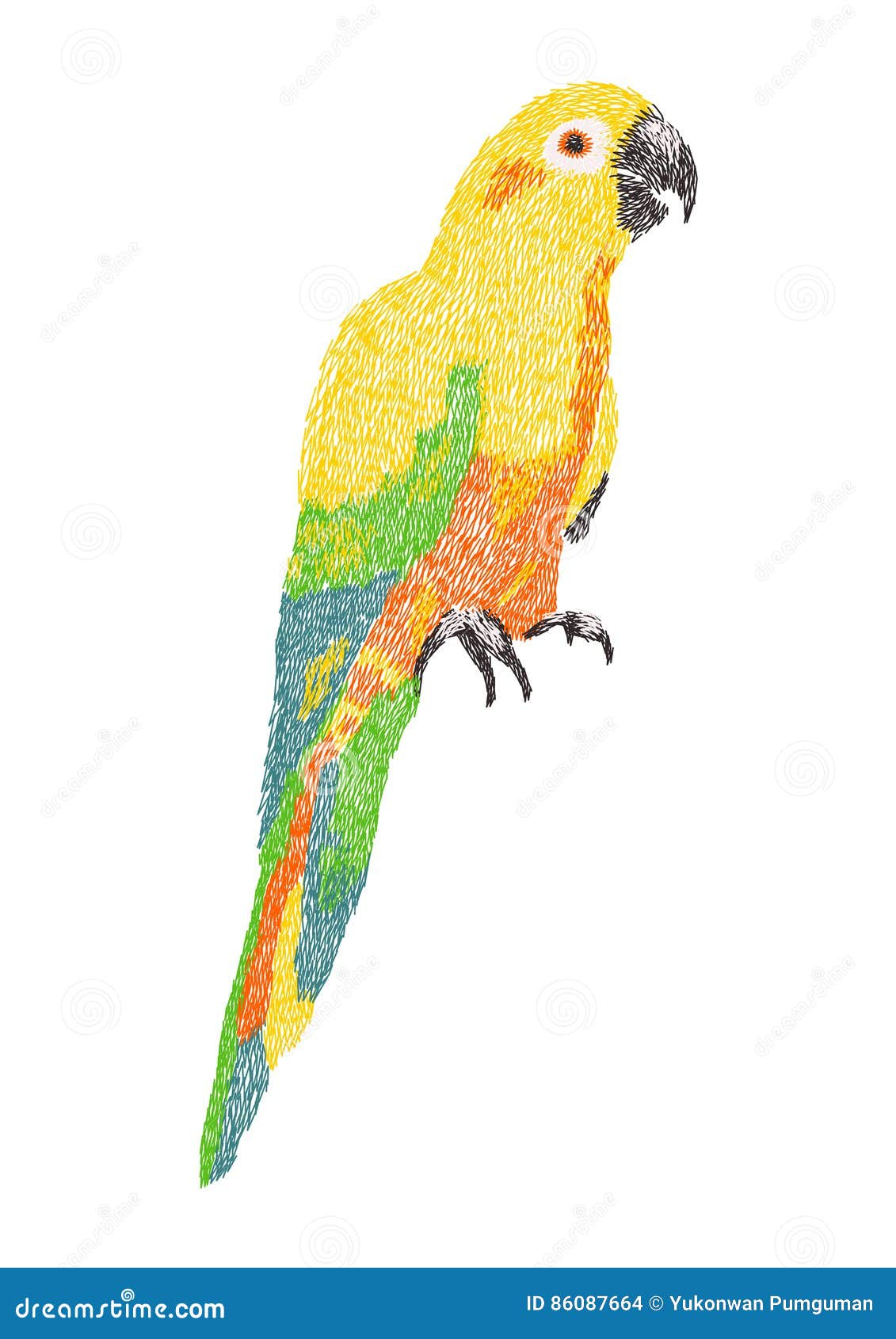 Sun Conure Parrot Embroidery Artwork Design for Clothing Stock Vector ...