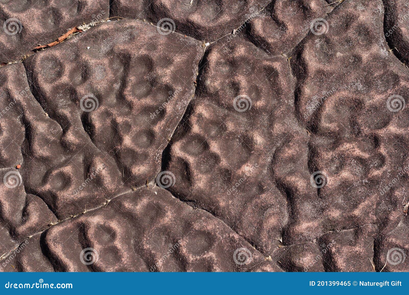 Sun Crack Texture on the Floor. Stock Image - Image of dirty, skin ...