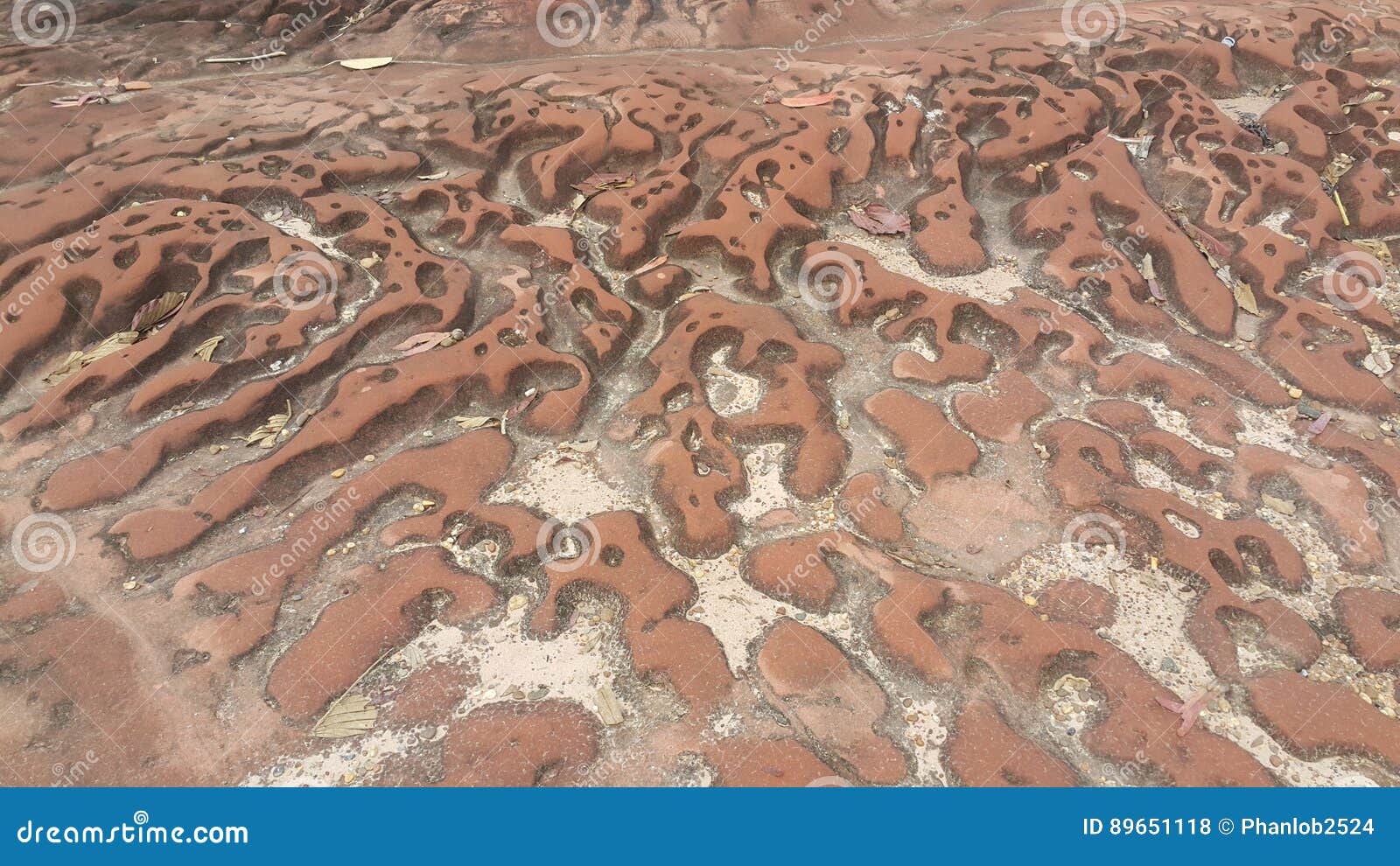 Sun creak stock photo. Image of erosion, sand, rock, creak - 89651118