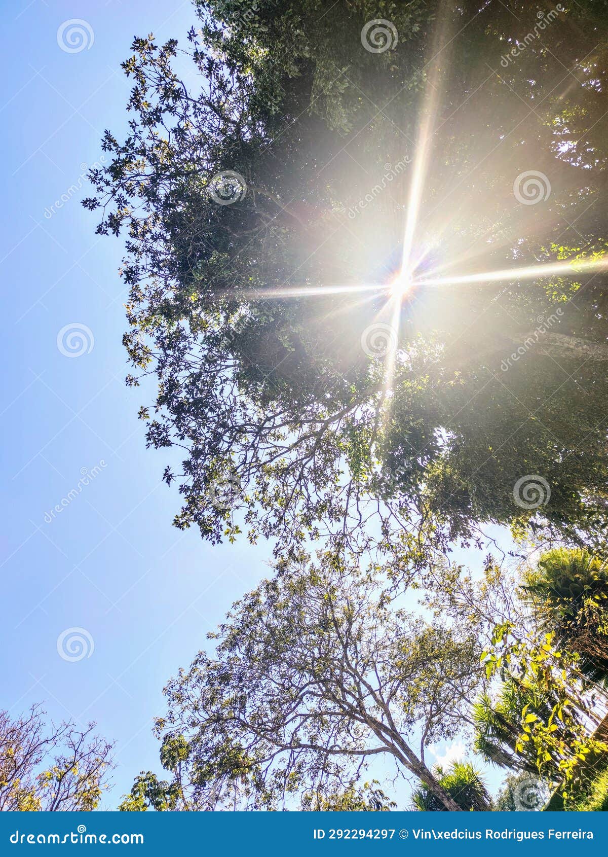 Sun through a curious eye stock image. Image of puja - 292294297
