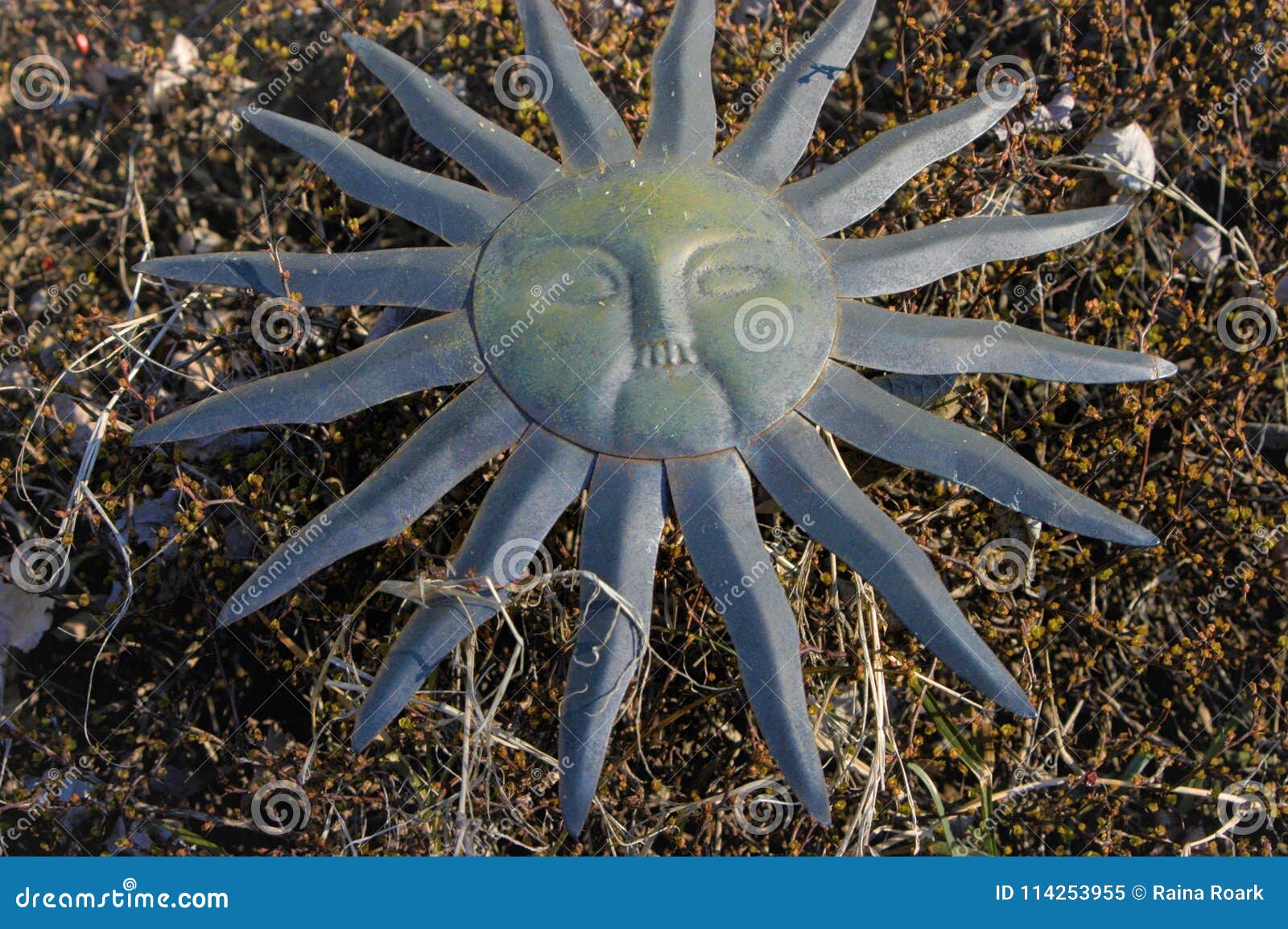 A sun disc stock image. Image of garden, disc, beautiful - 114253955