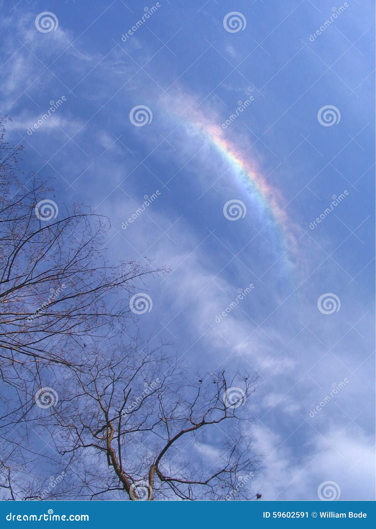 Bright Sun Dog Rainbow Lights Up Cloud Stock Image - Image of natural ...