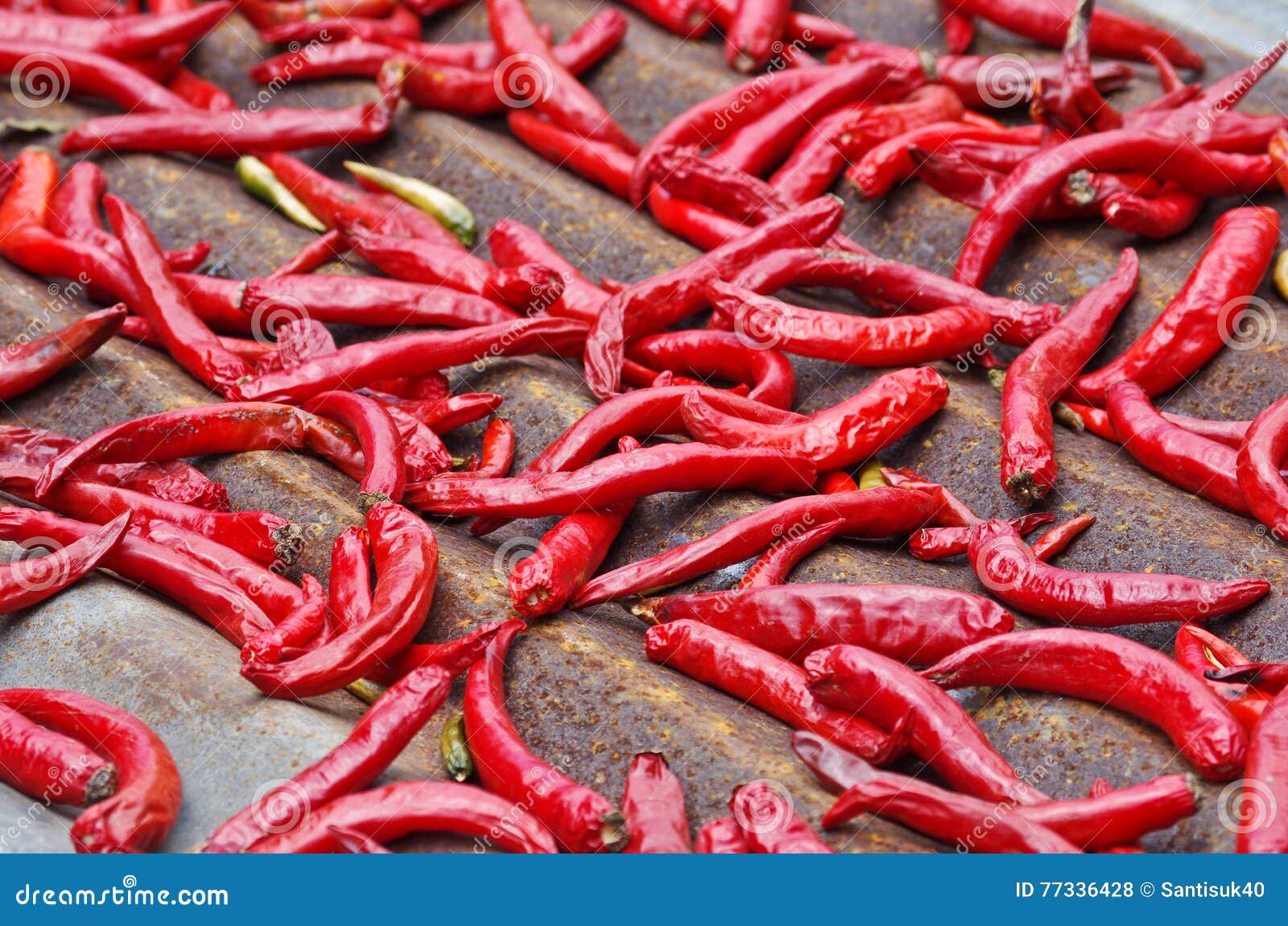 Sun-dried cayenne peppers stock photo. Image of cayenne - 77336428
