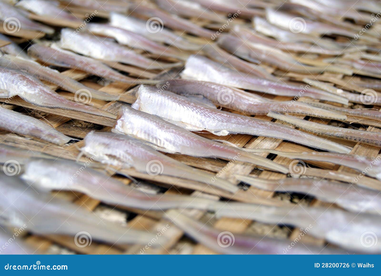 Sun-dried fish stock photo. Image of asia, objects, marine - 28200726