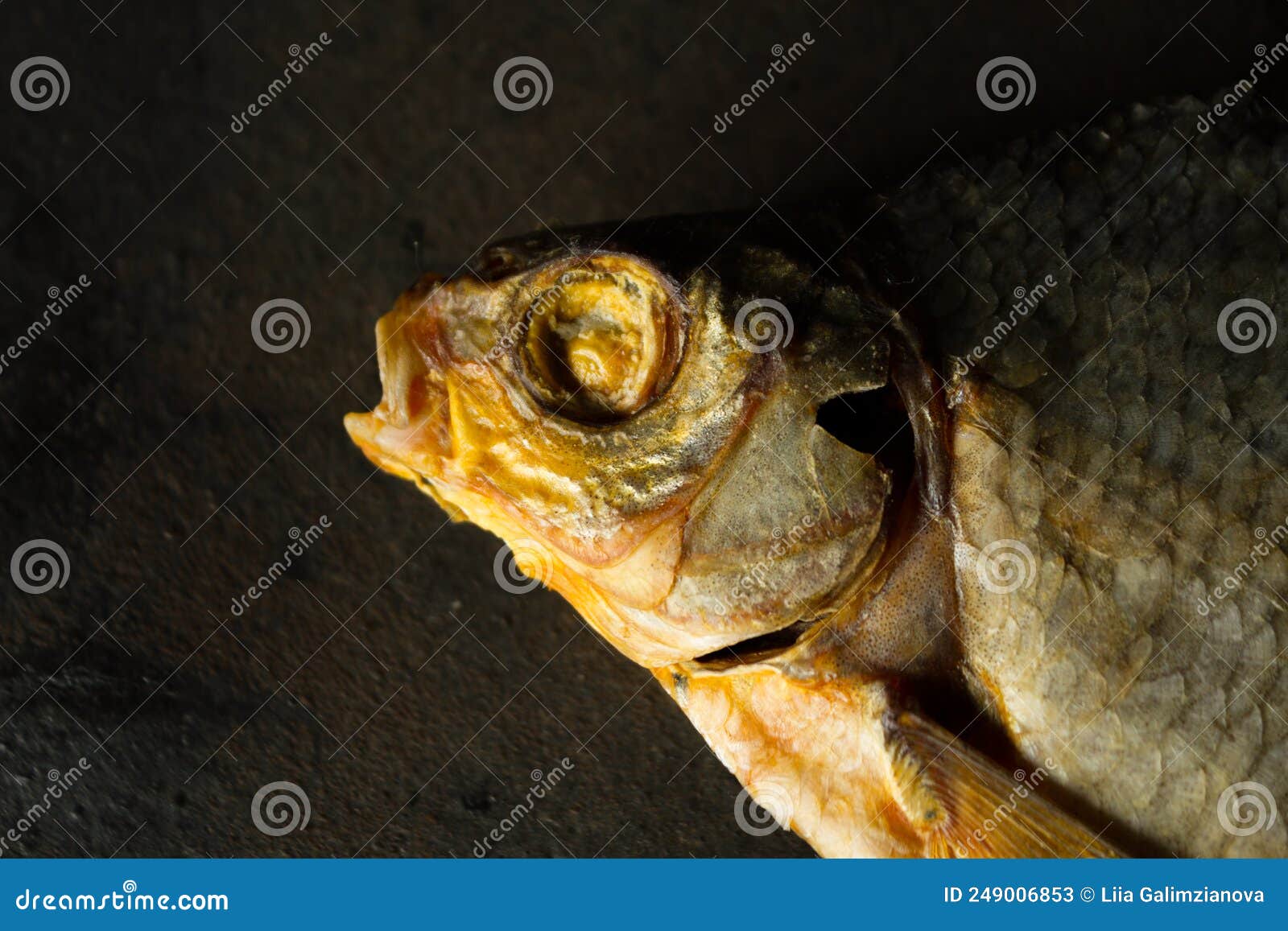 Sun dried fish stock image. Image of wooden, seafood - 249006853