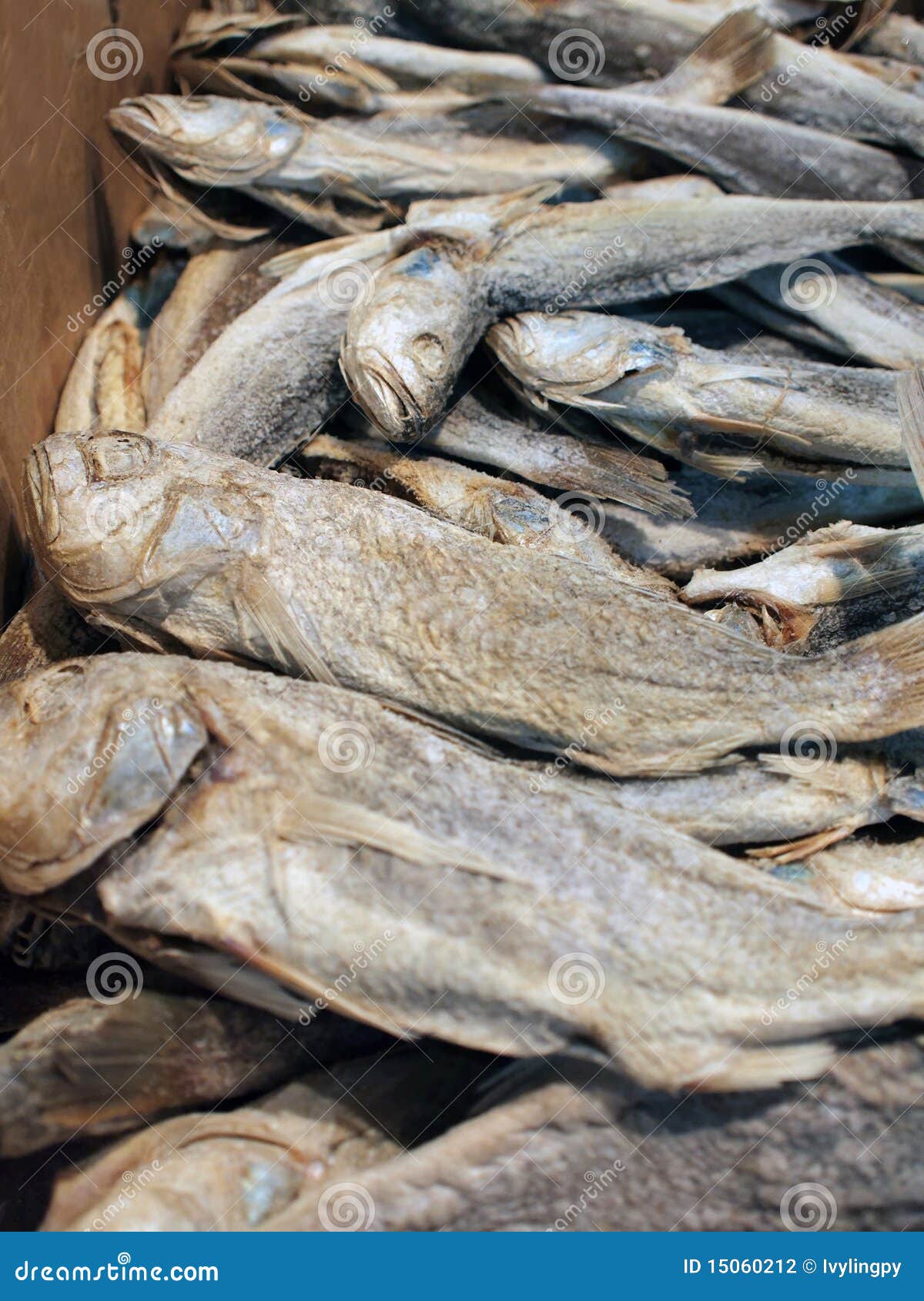 Sun-dried and salted fish stock photo. Image of tradition - 15060212
