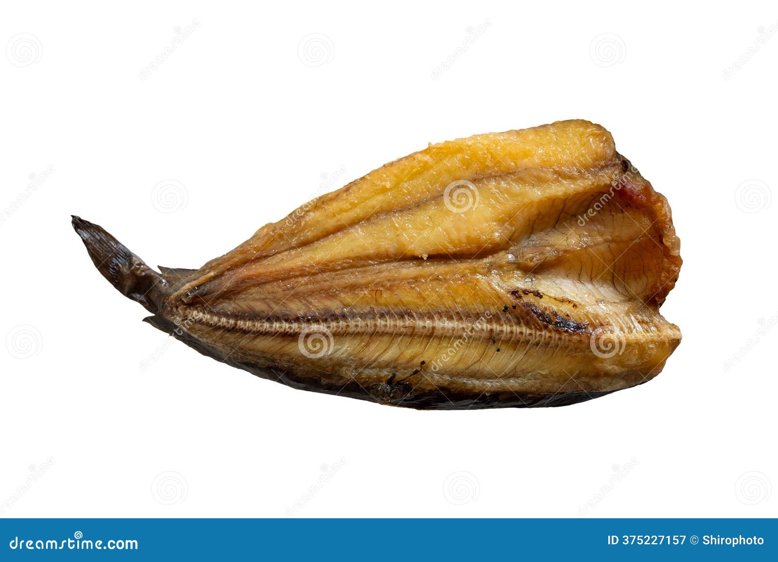 The Sun-dried Snakehead Fish Isolate On White Royalty-Free Stock Photo ...