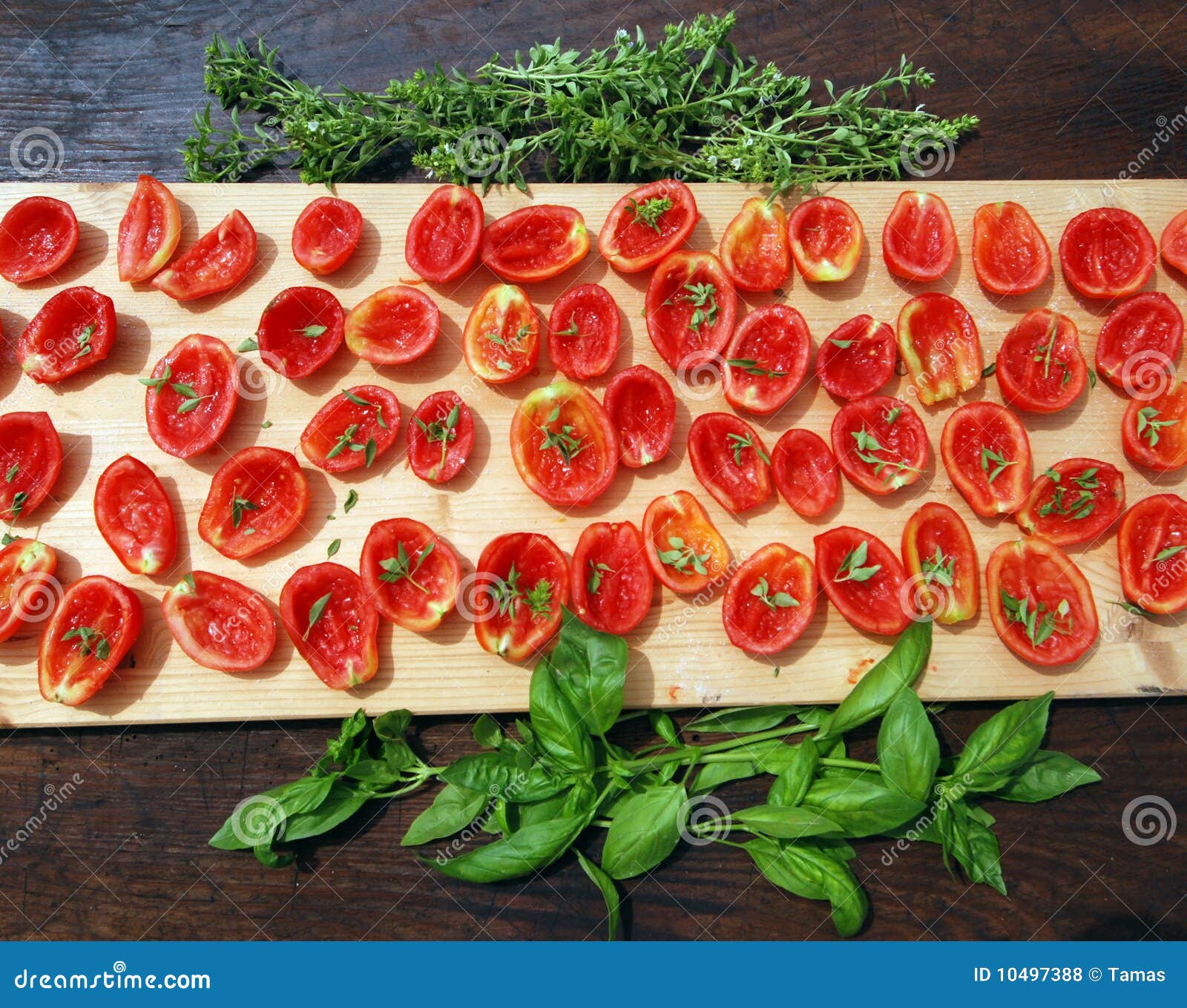 Sun dried tomatoes stock photo. Image of flora, ripened - 10497388