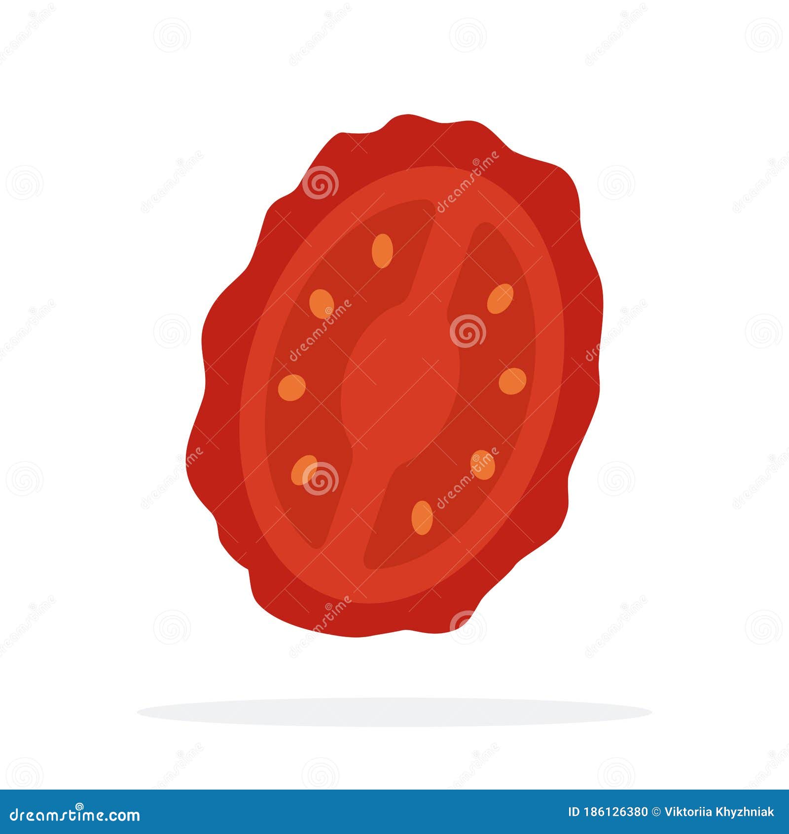Sun-dried Tomatoes in a Cut Stock Vector - Illustration of sear, fruit ...