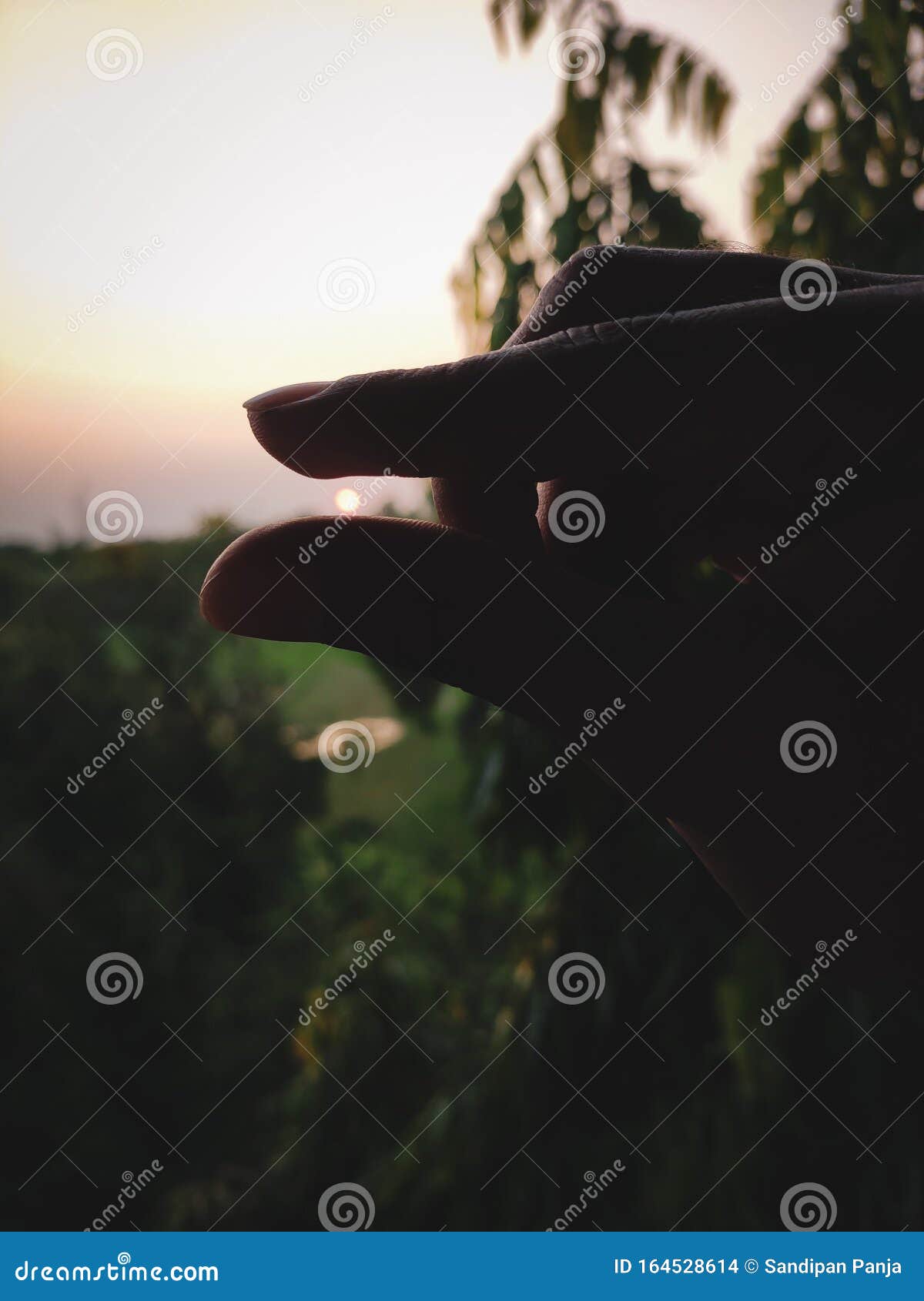 Sun drop on stock photo. Image of dark, sunset, drop - 164528614