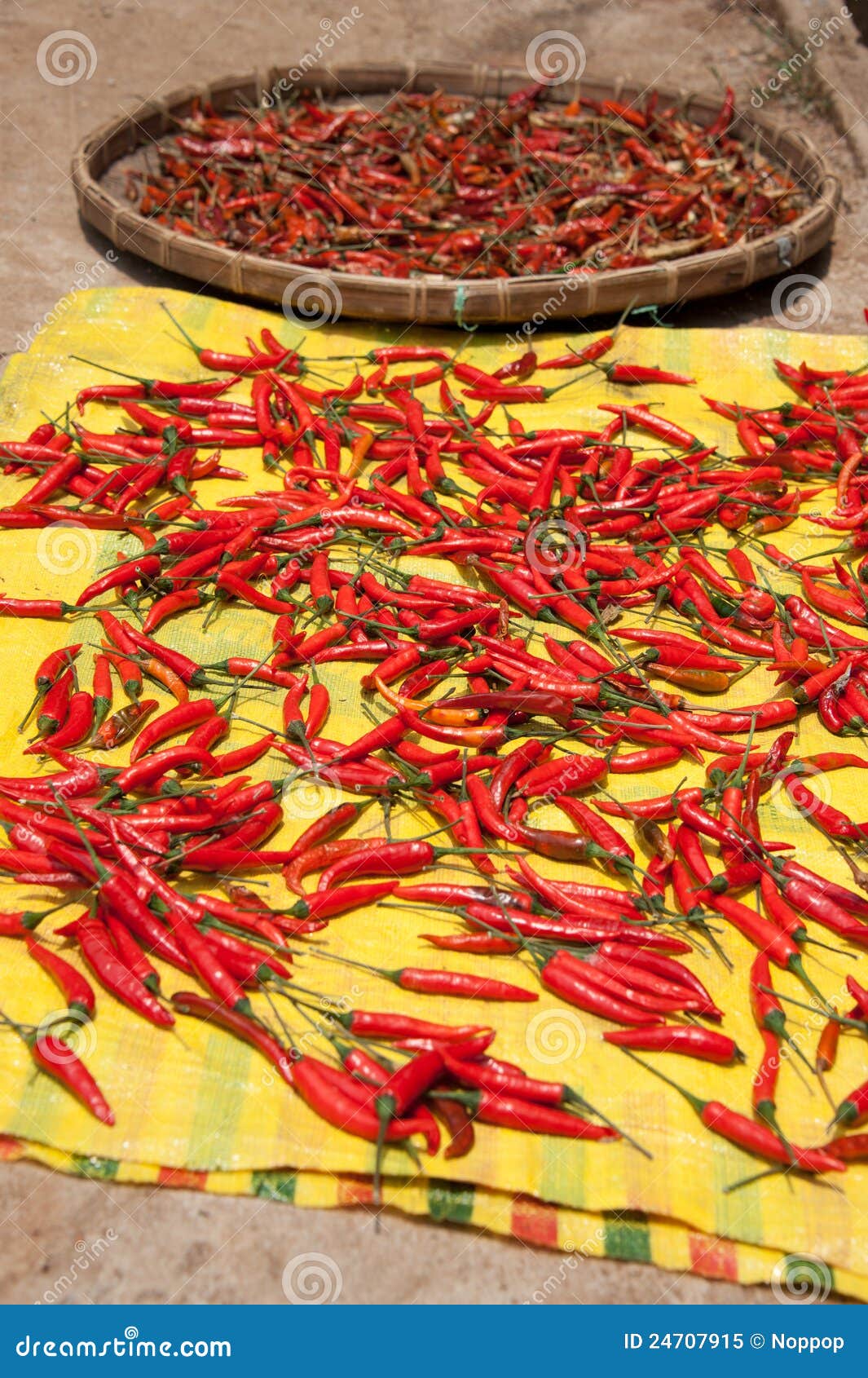 Sun Drying Chillies stock image. Image of chilli, spicey - 24707915