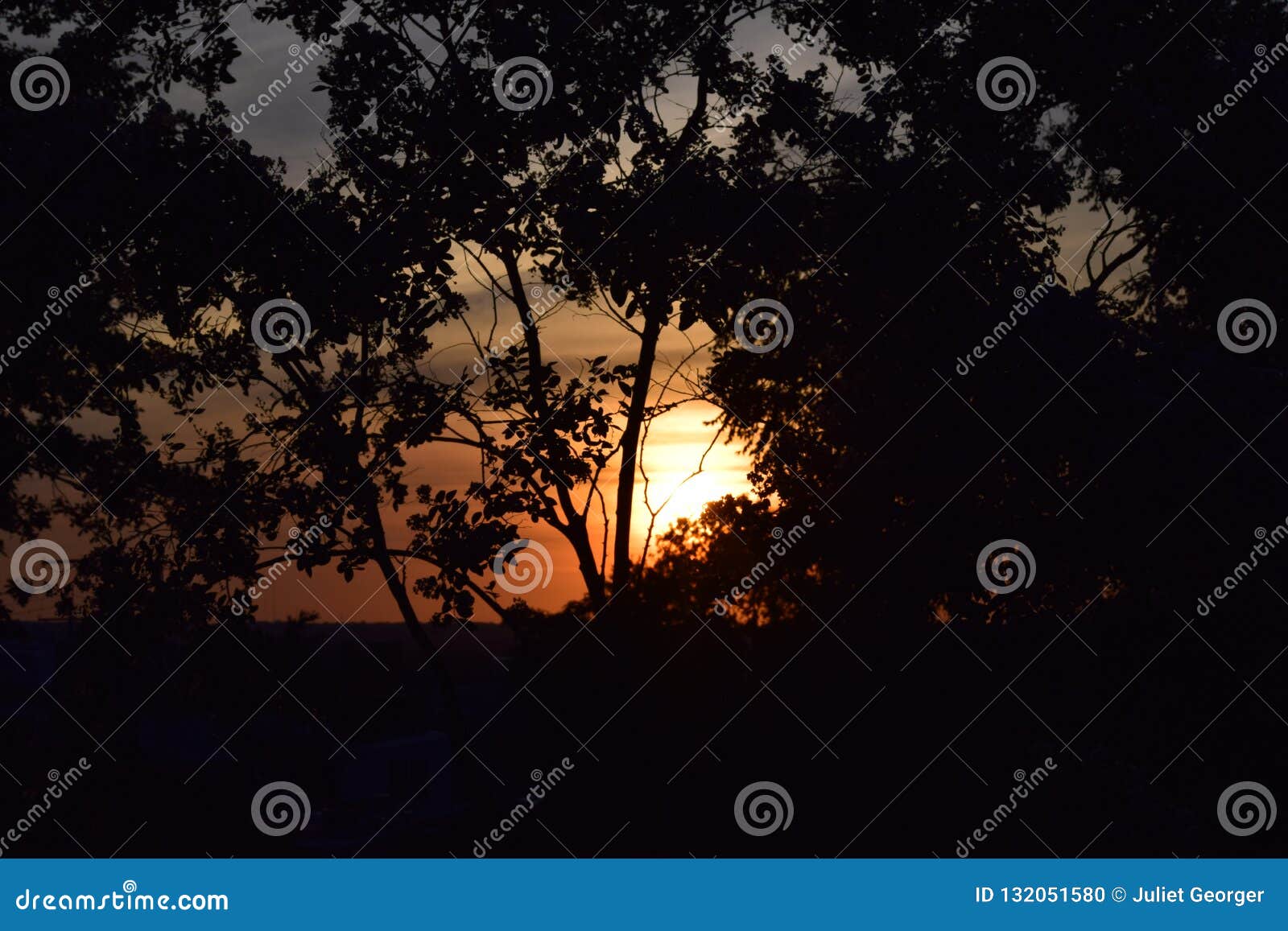 Sun at Dusk Hiding Behind Trees Stock Photo - Image of twilight, trees ...