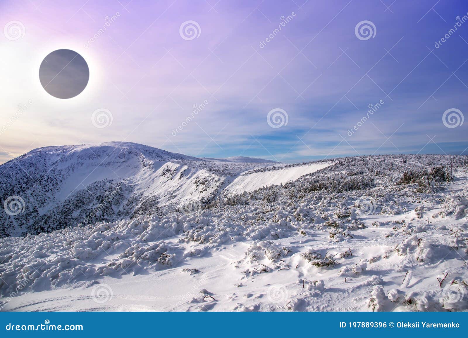Crescent in the Snow Forest in Winter Stock Photo - Image of believe ...