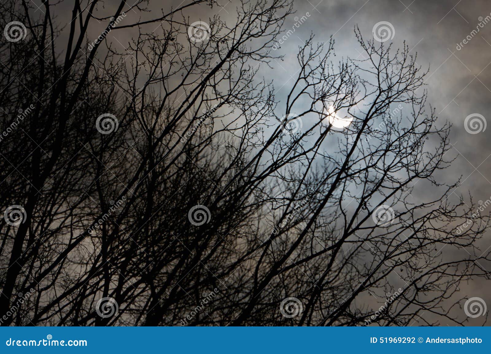 Sun Eclipse and Winter Tree Branches with Cloudy Sky Stock Photo ...