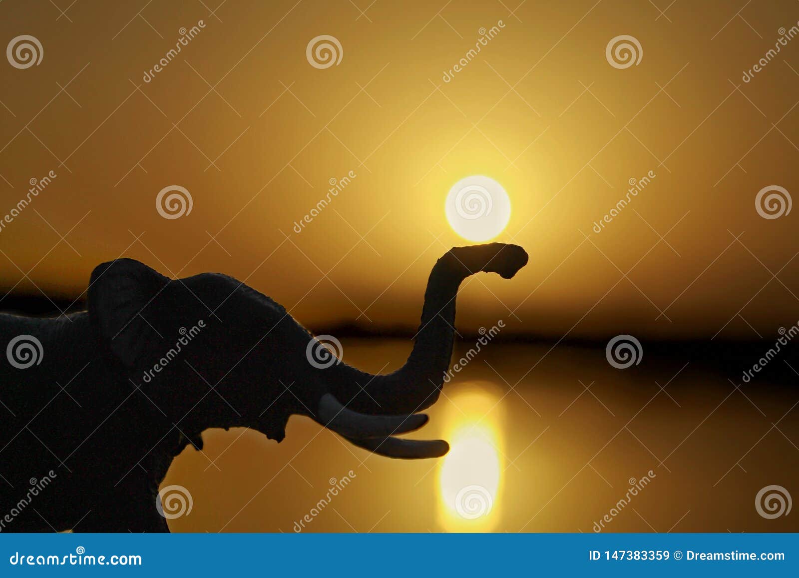 The Sun and Elephant during Sunset Stock Image - Image of elephant ...