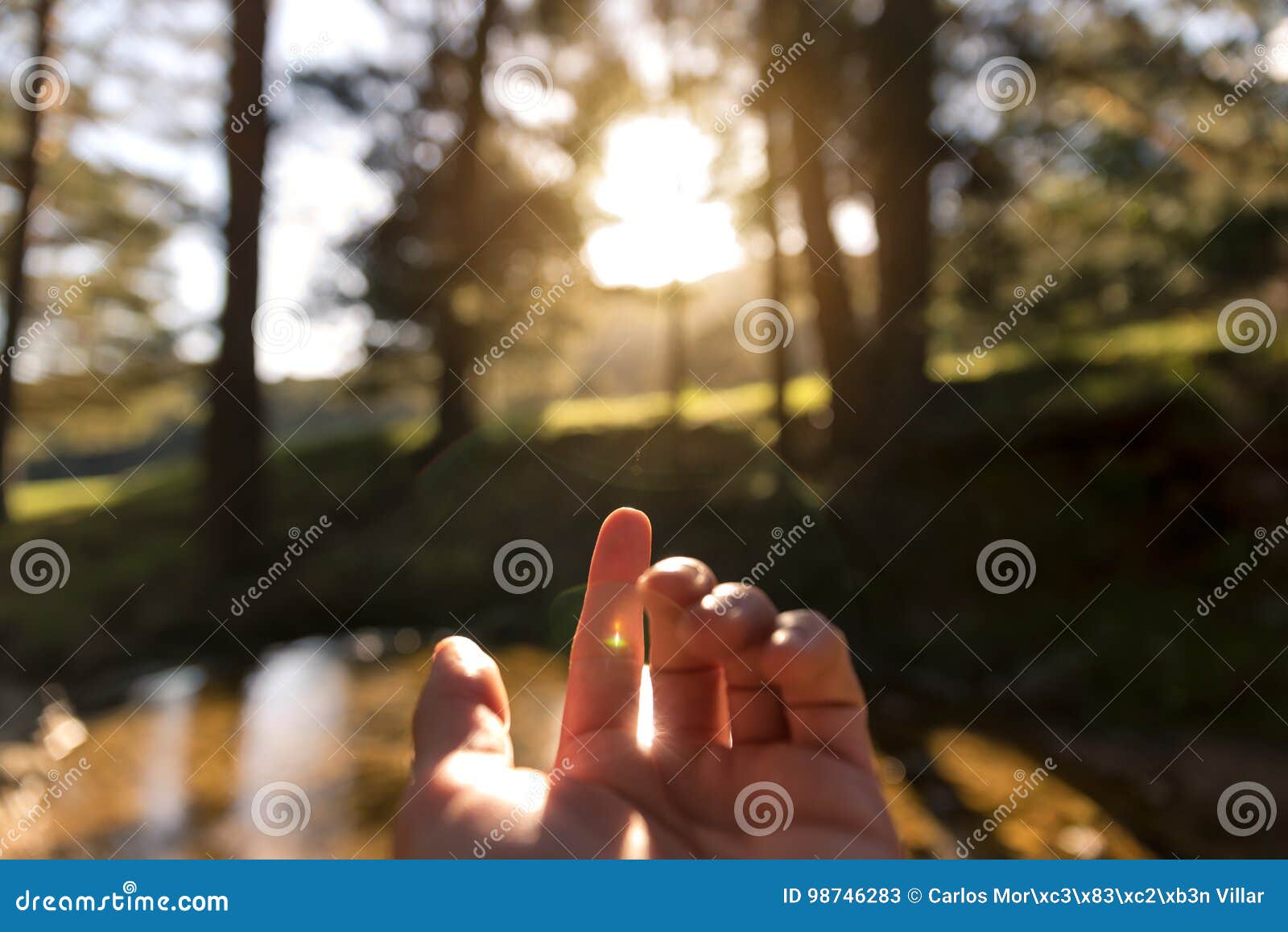 Sun through the Fingers at Sunset. Stock Image - Image of scene ...