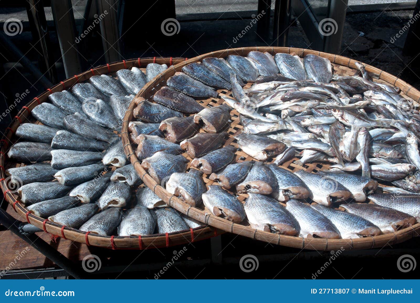 Sun Fish in Threshing Basket . Stock Image - Image of basket, flat ...