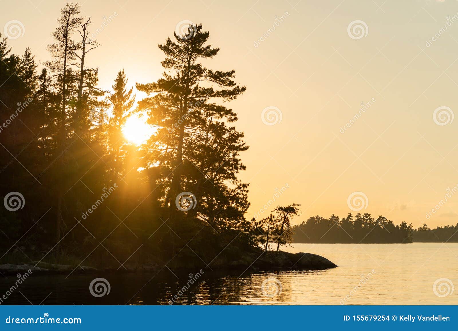 Sun Flares through Pine Trees on Island Stock Photo - Image of ...