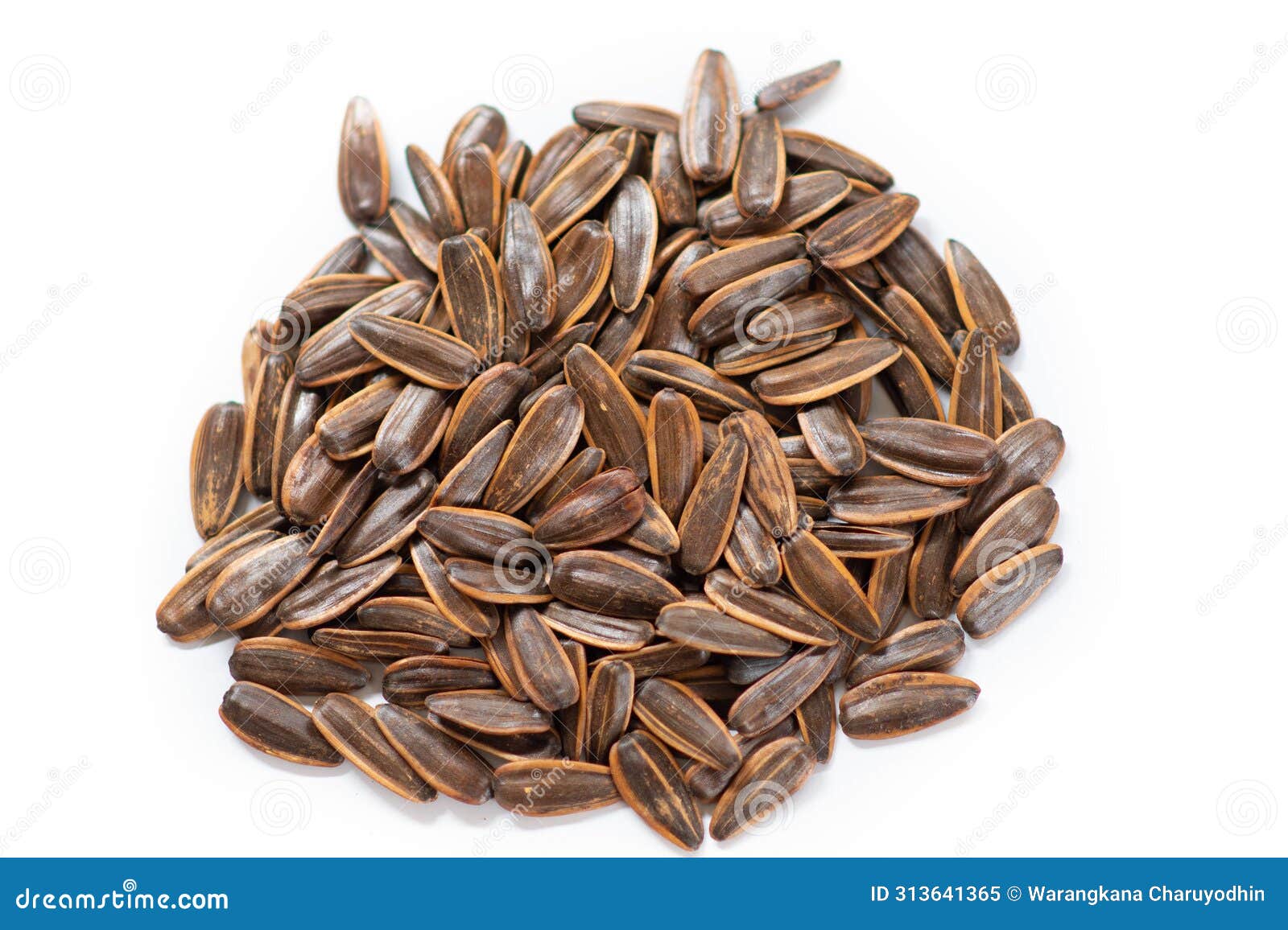 Sun Flower Seed on Table White Background Stock Image - Image of food ...