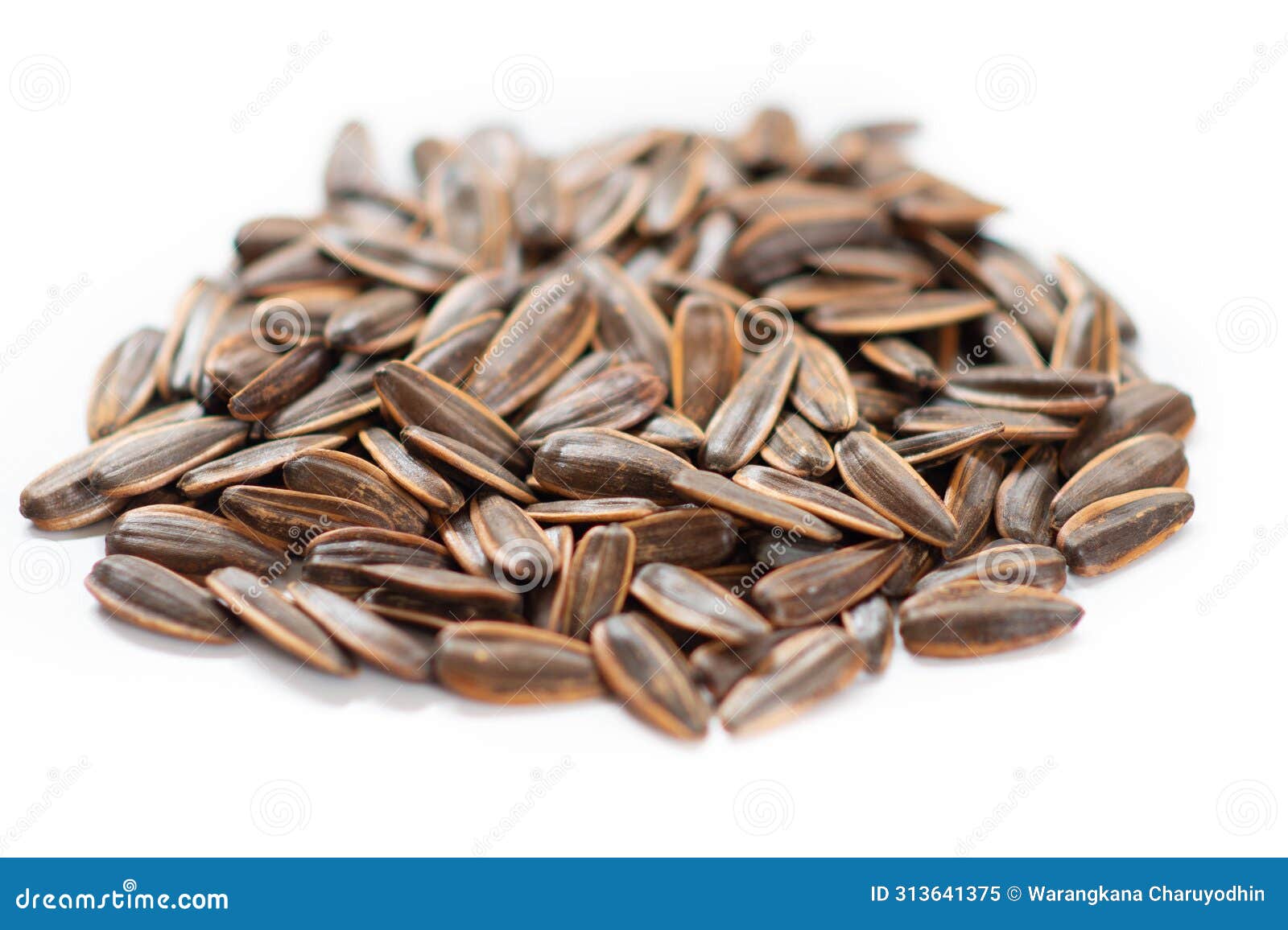 Sun Flower Seed on Table White Background Stock Image - Image of nature ...