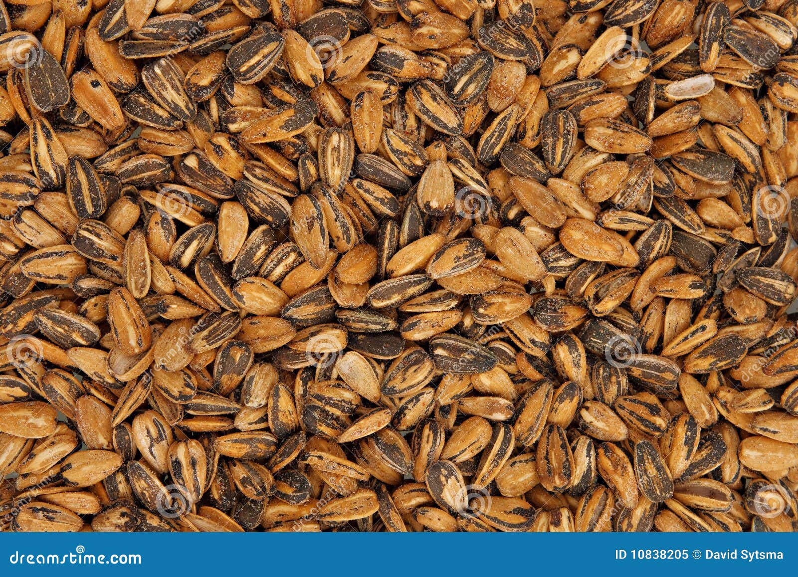 Sun flower seeds stock image. Image of seed, bird, food - 10838205
