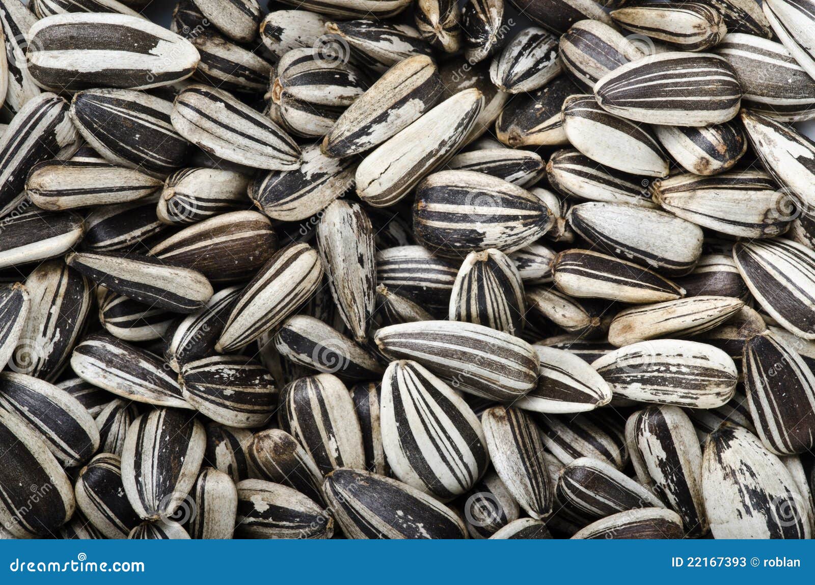 Sun flower seeds stock image. Image of pattern, nutrition - 22167393